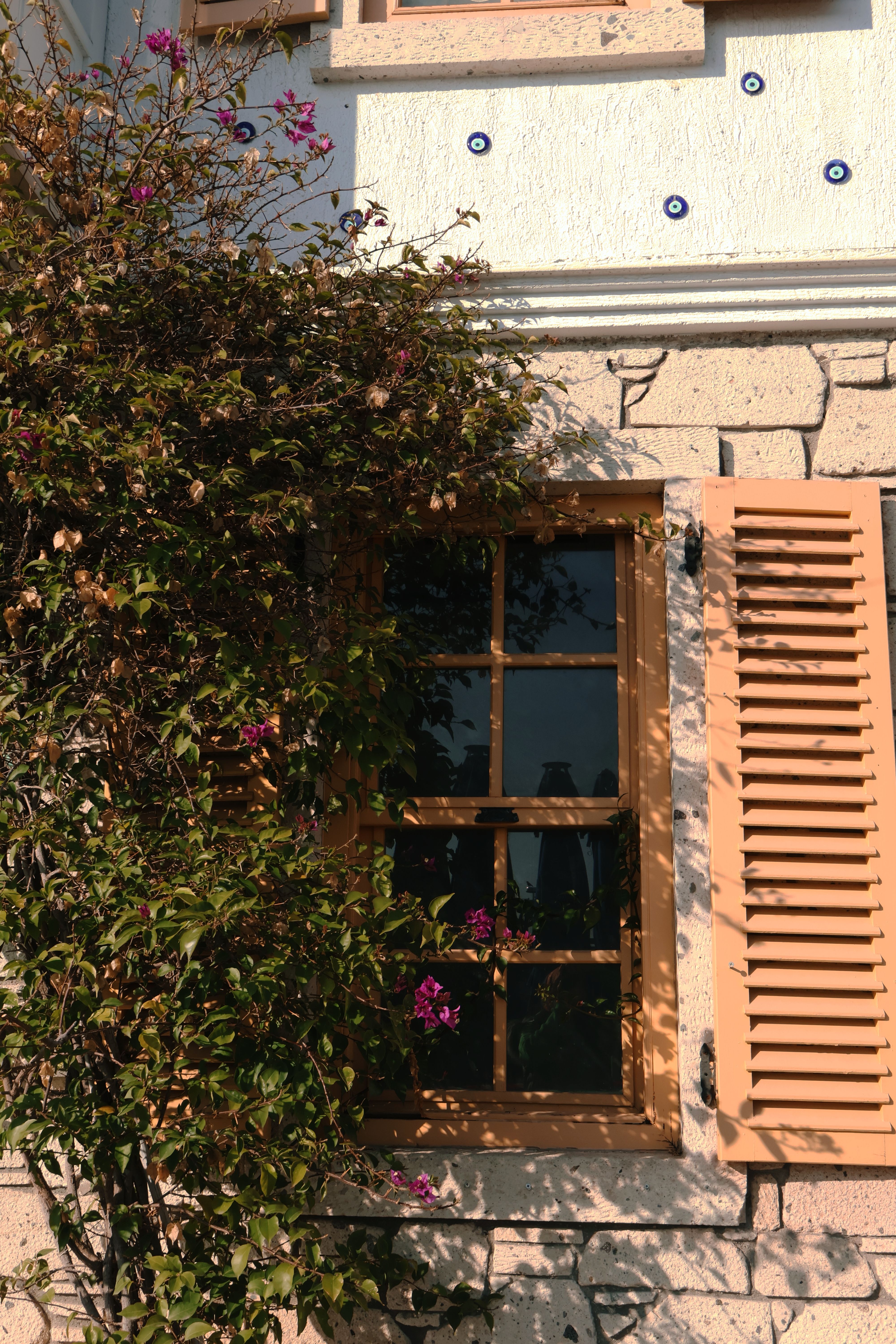 Sunny Window with Shutters and Climbing Plants · Free Stock Photo