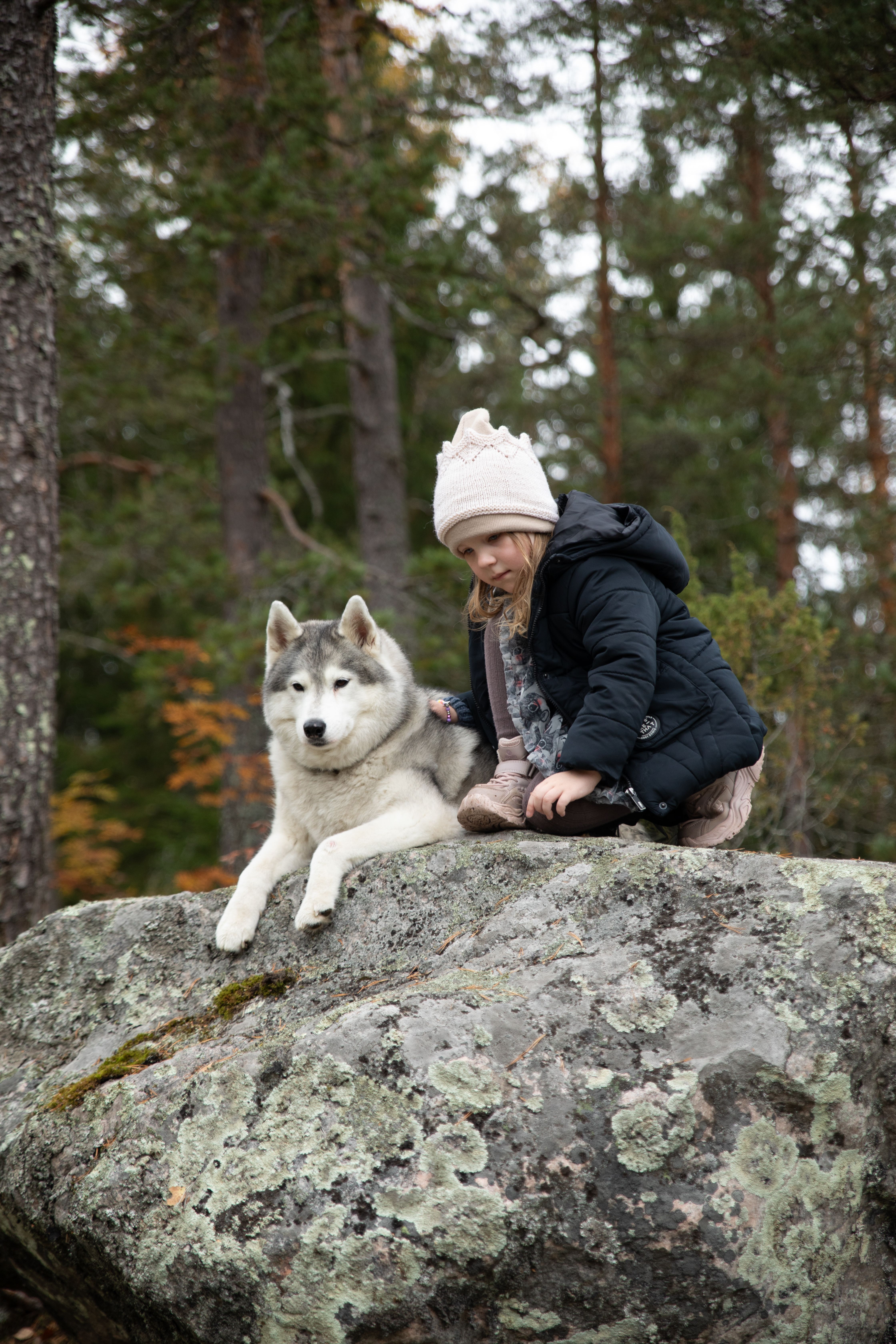Dog Innocence Photos, Download The BEST Free Dog Innocence Stock Photos ...