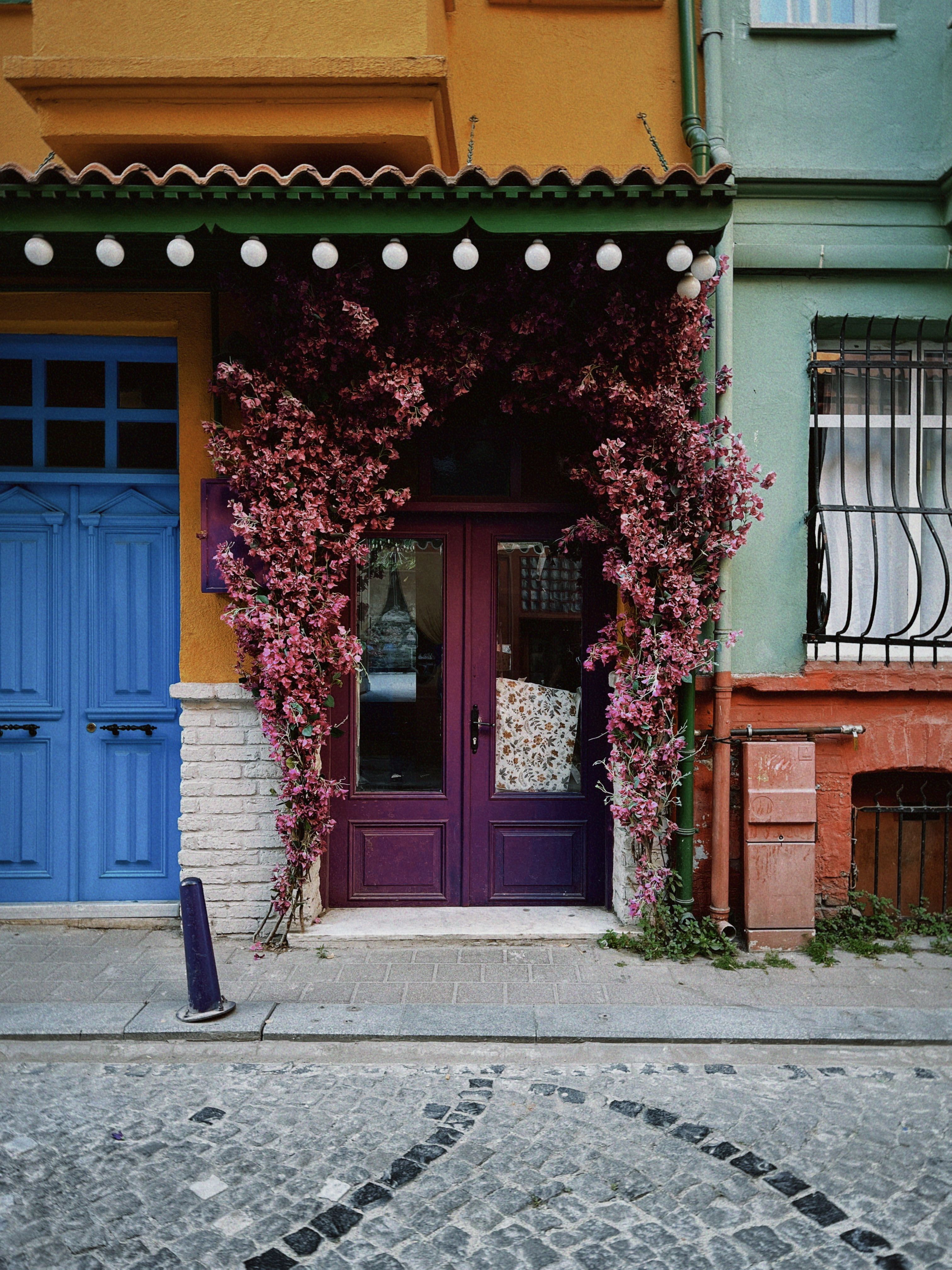 Colorful Street Entrance with Blooming Vines · Free Stock Photo