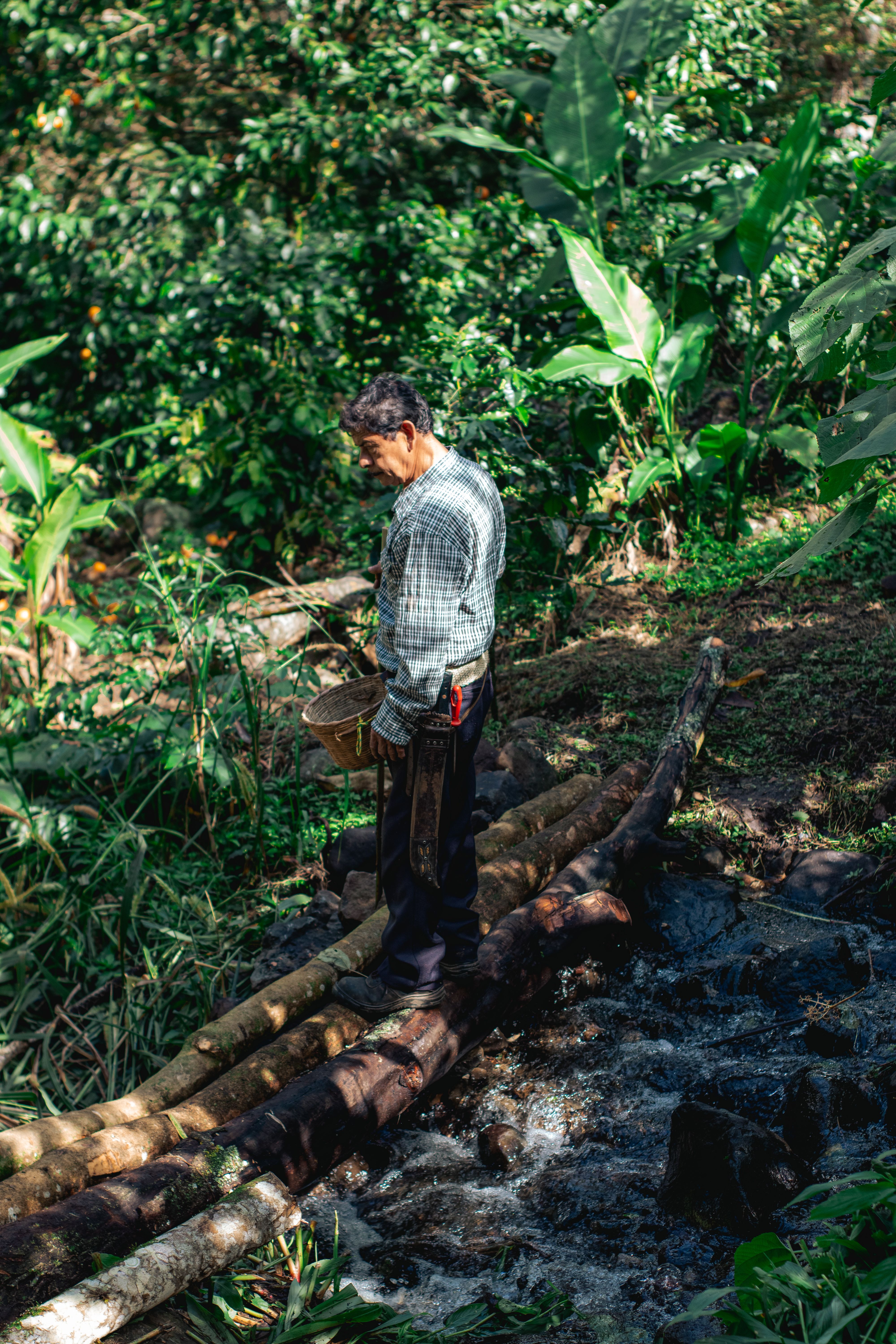 Man Crossing Wooden Bridge in Lush Forest · Free Stock Photo