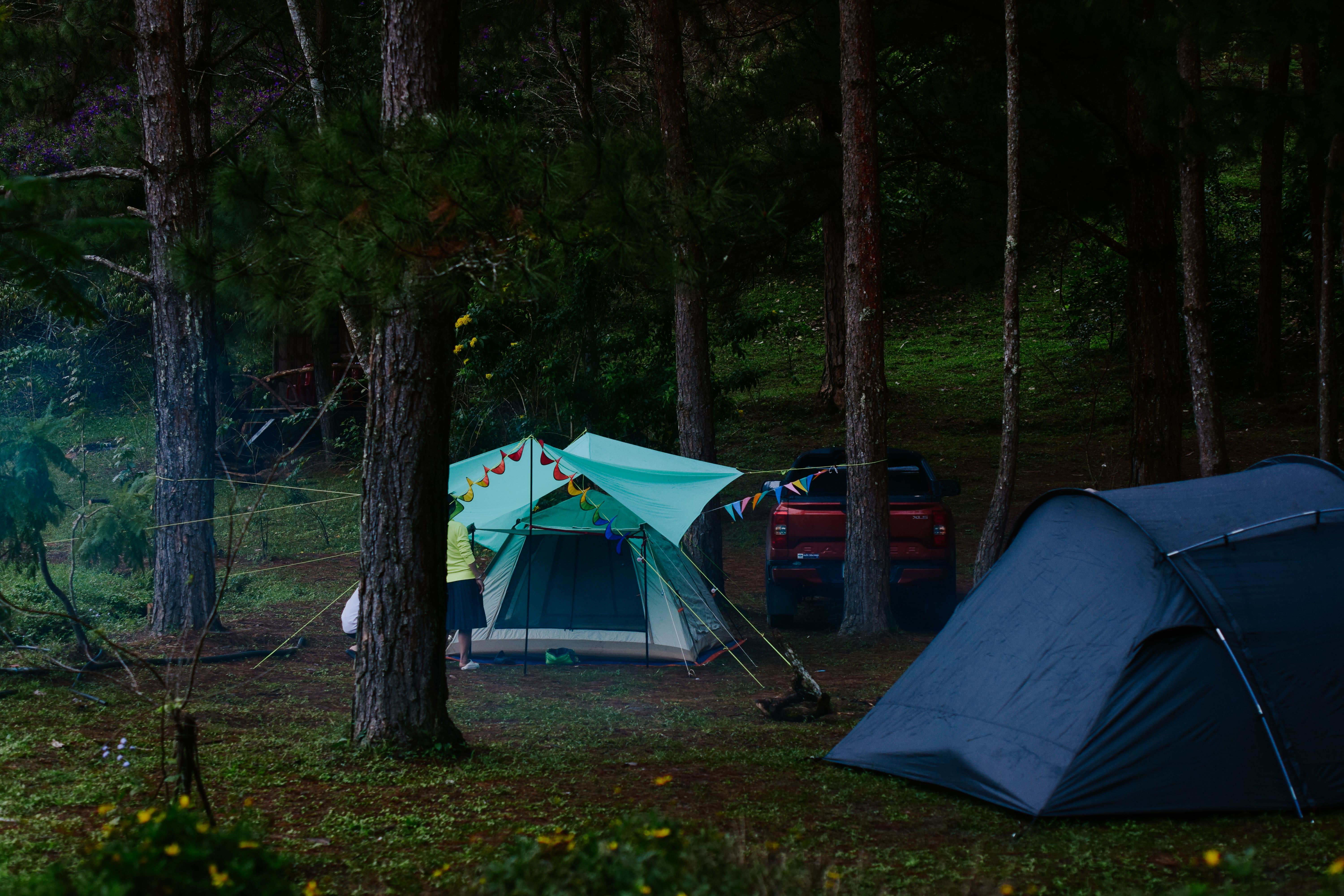 Serene Forest Camping with Tents and Vehicle · Free Stock Photo