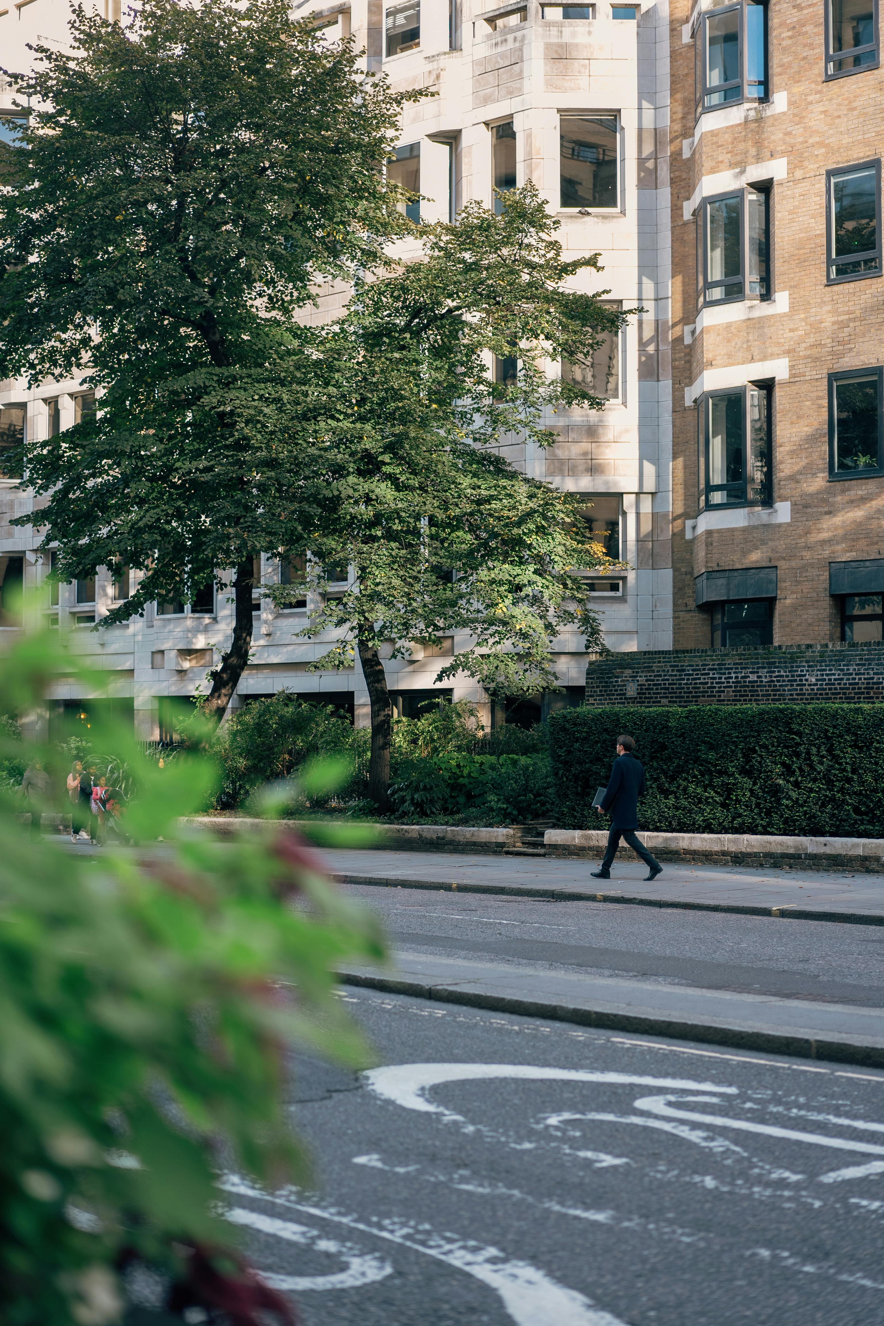 Man walking past trees on a London street · Free Stock Photo