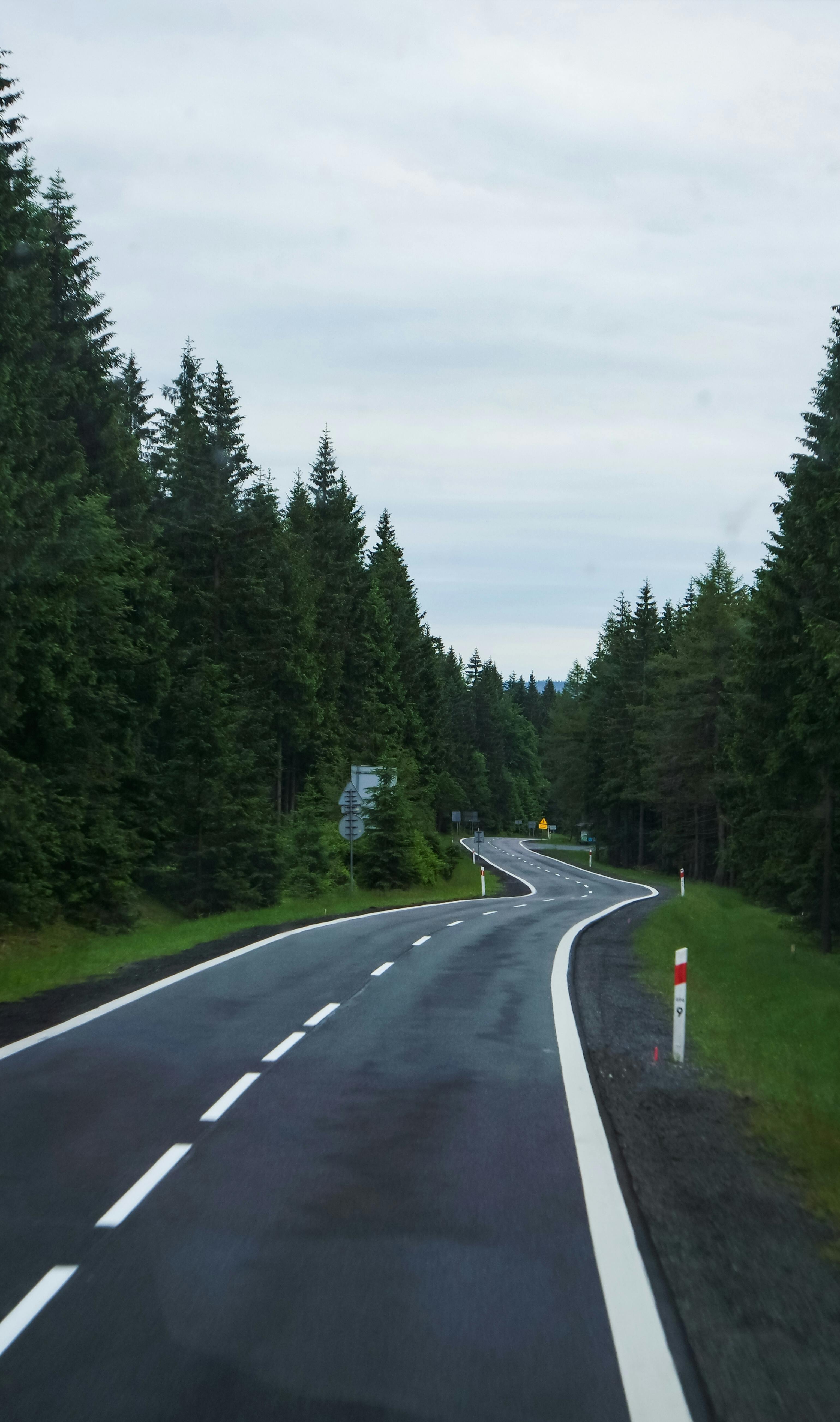Scenic Windy Road through Forest in Poland · Free Stock Photo