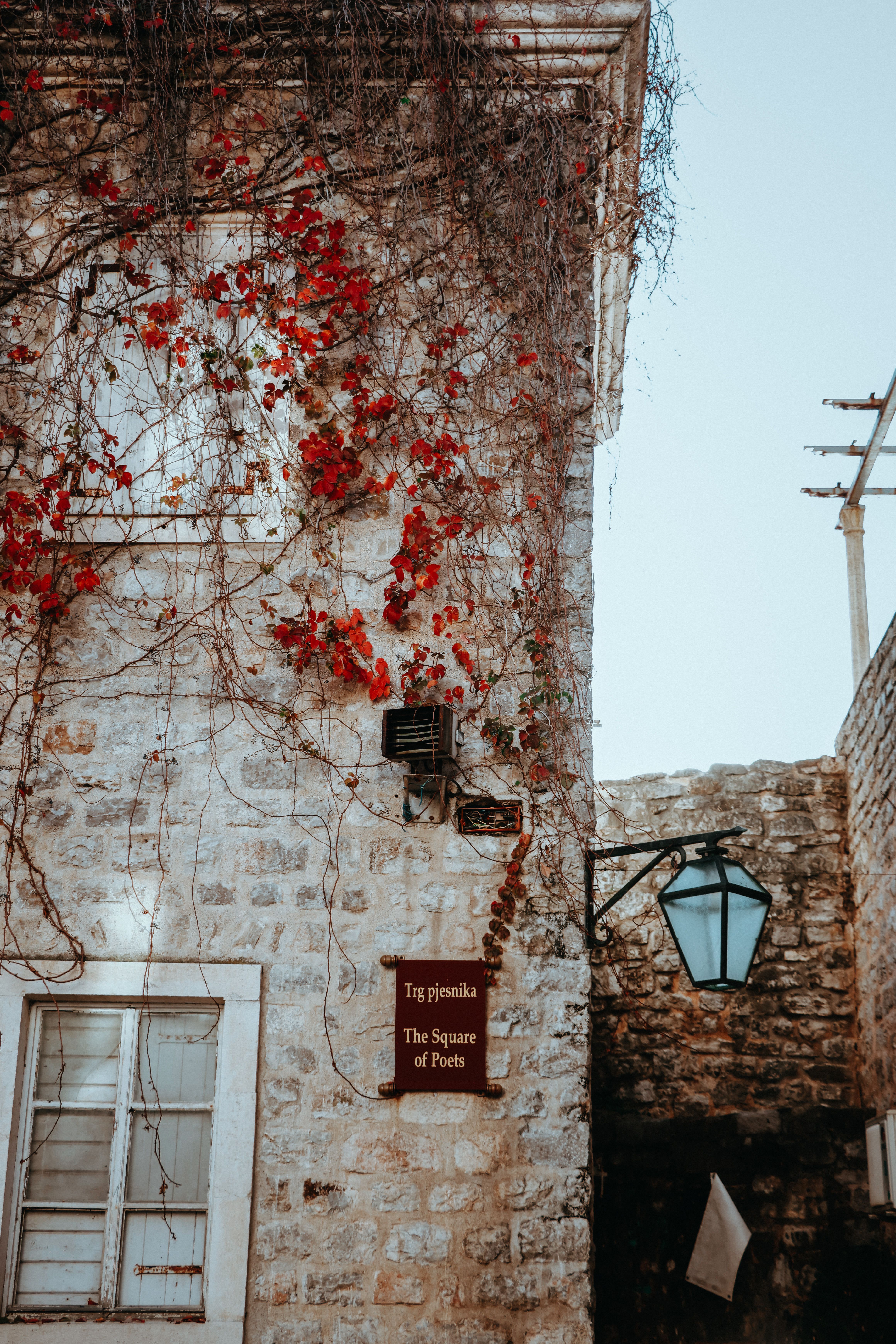 Charming Alleyway in Budva's Square of Poets · Free Stock Photo