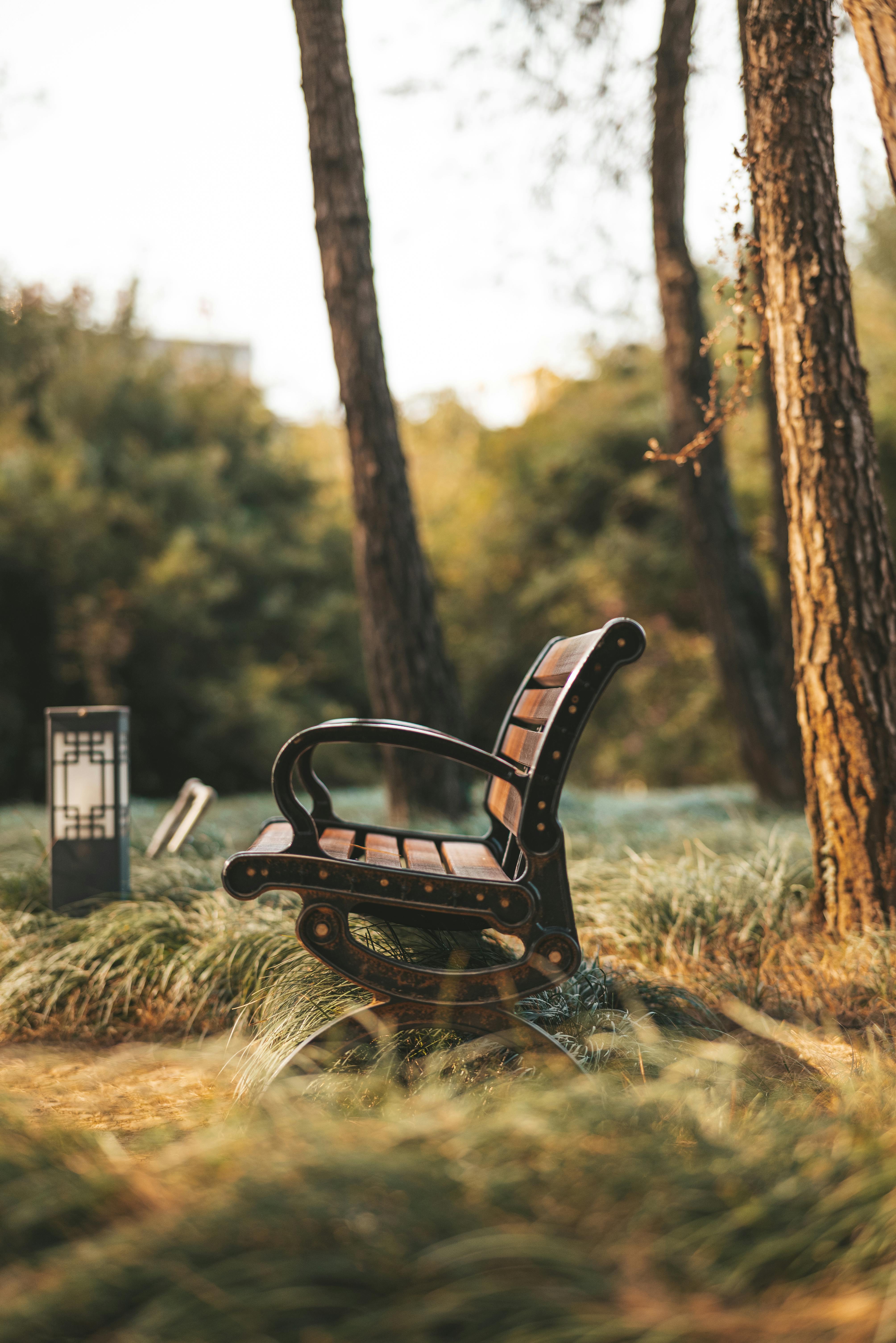 Rustic Park Bench Amidst Tall Grass · Free Stock Photo
