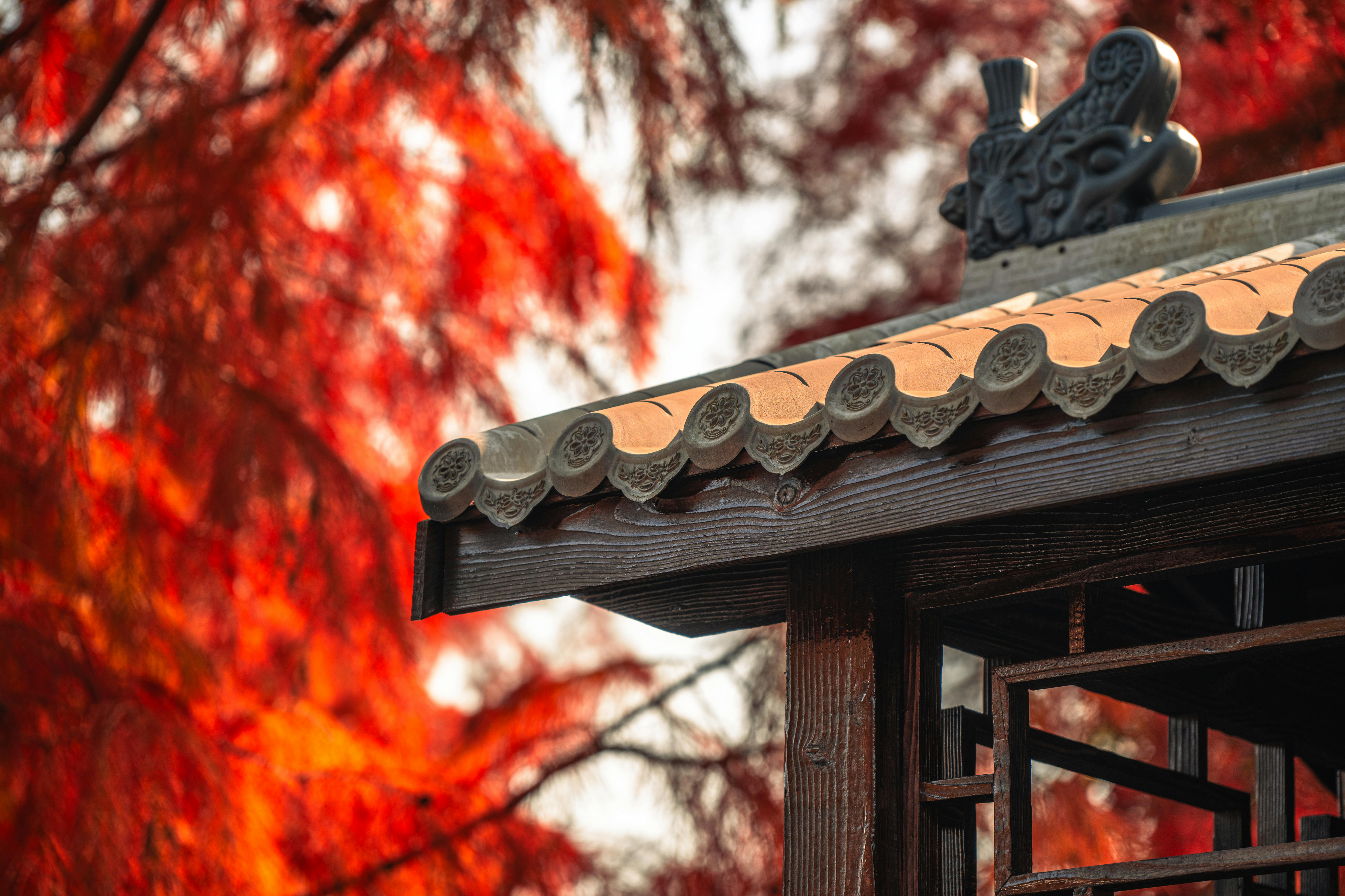 Traditional Asian Roof with Autumn Foliage · Free Stock Photo