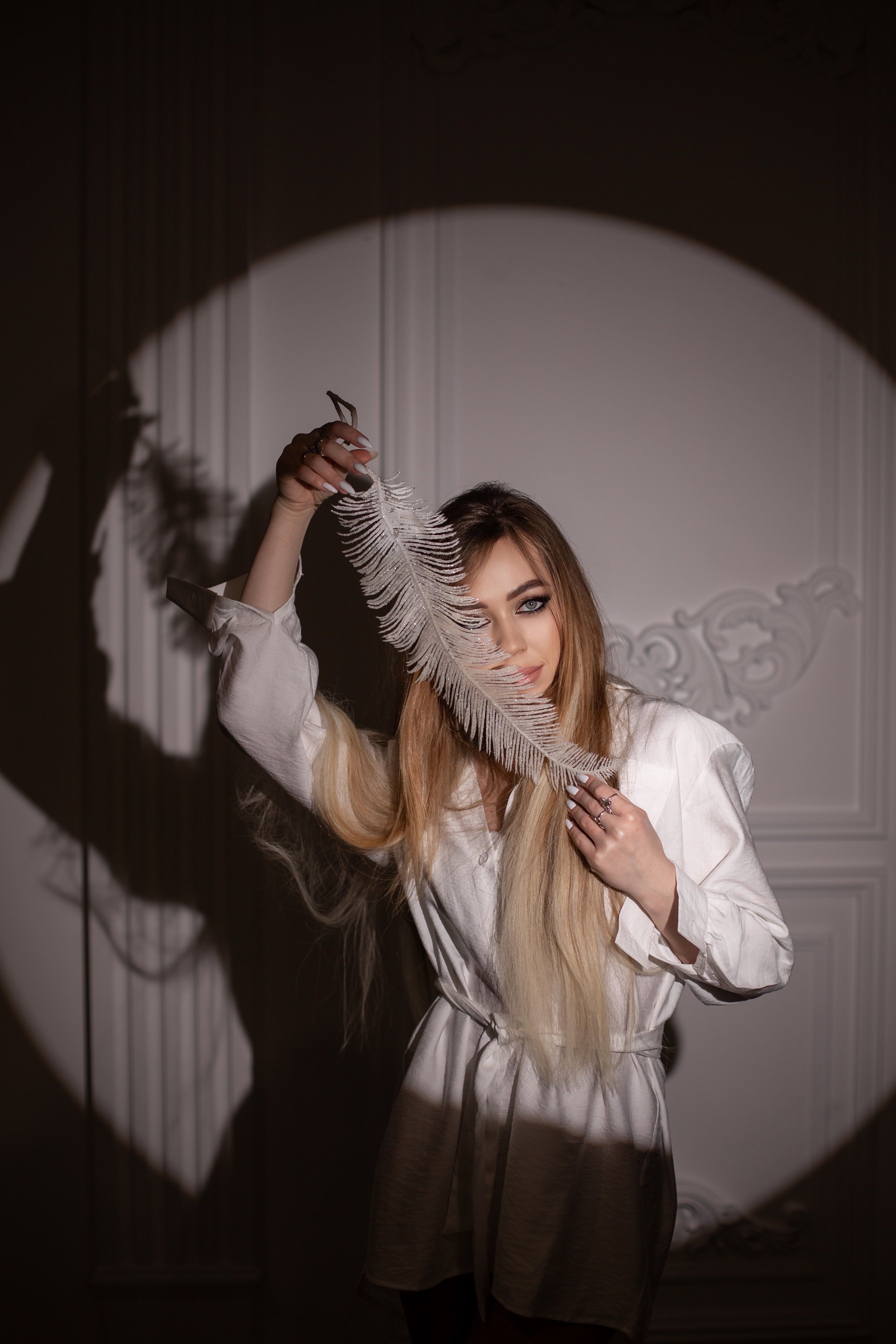 Artistic Portrait with Feather and Dramatic Shadow · Free Stock Photo