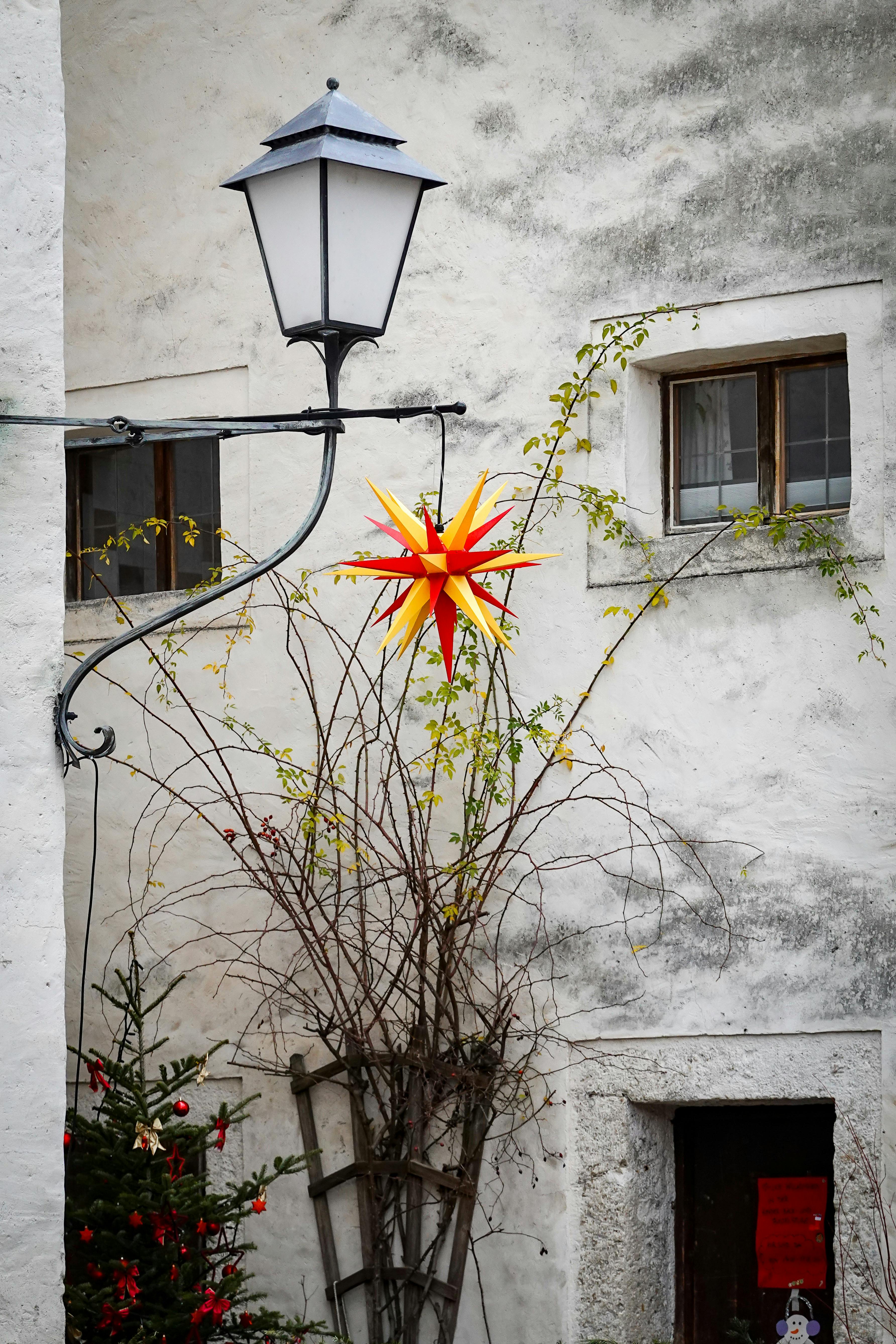 Festive Star Decoration on Rustic Wall · Free Stock Photo