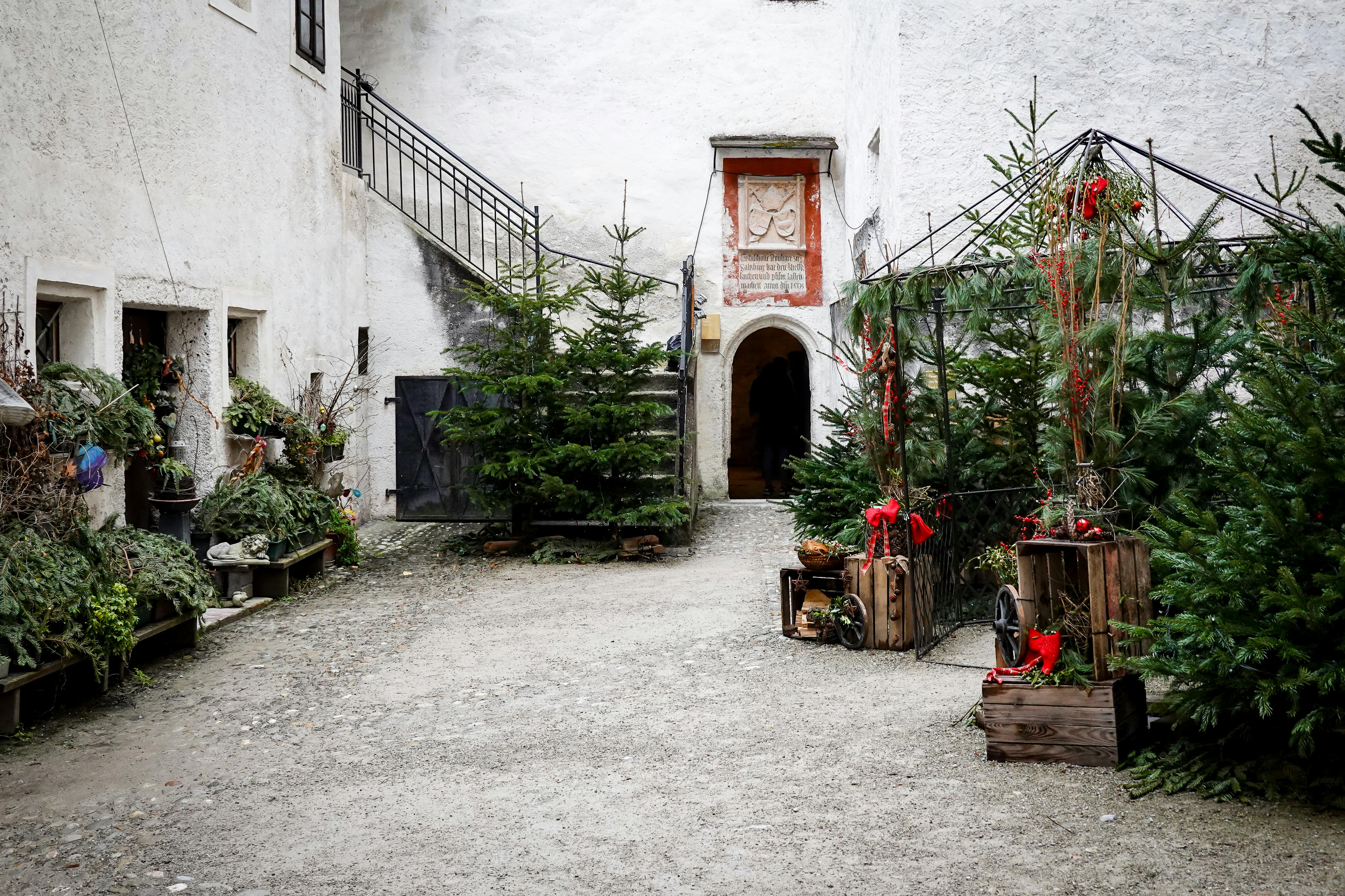 Charming Winter Courtyard with Festive Decorations · Free Stock Photo