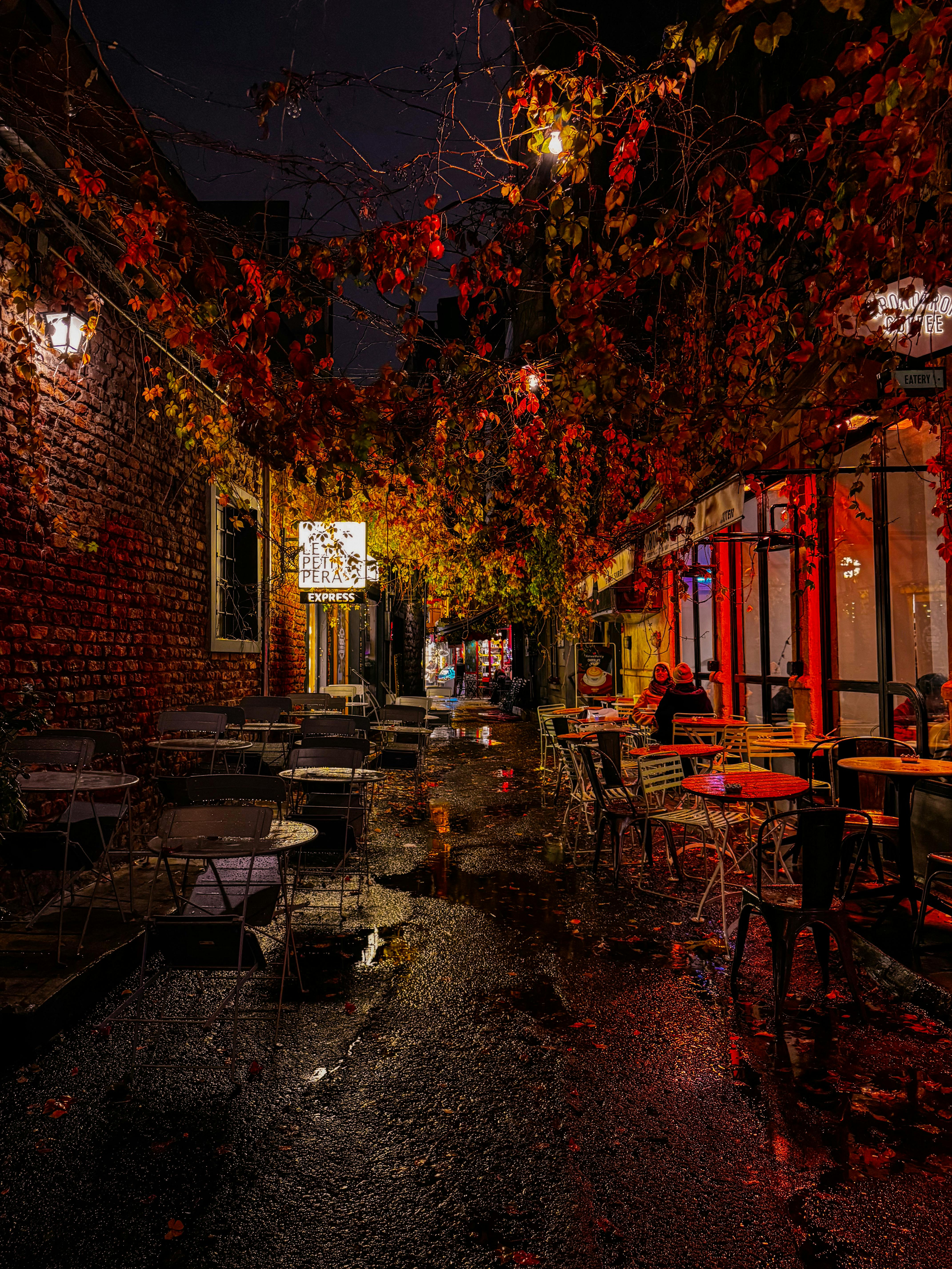 Cozy Nighttime Street Cafe in Autumn · Free Stock Photo