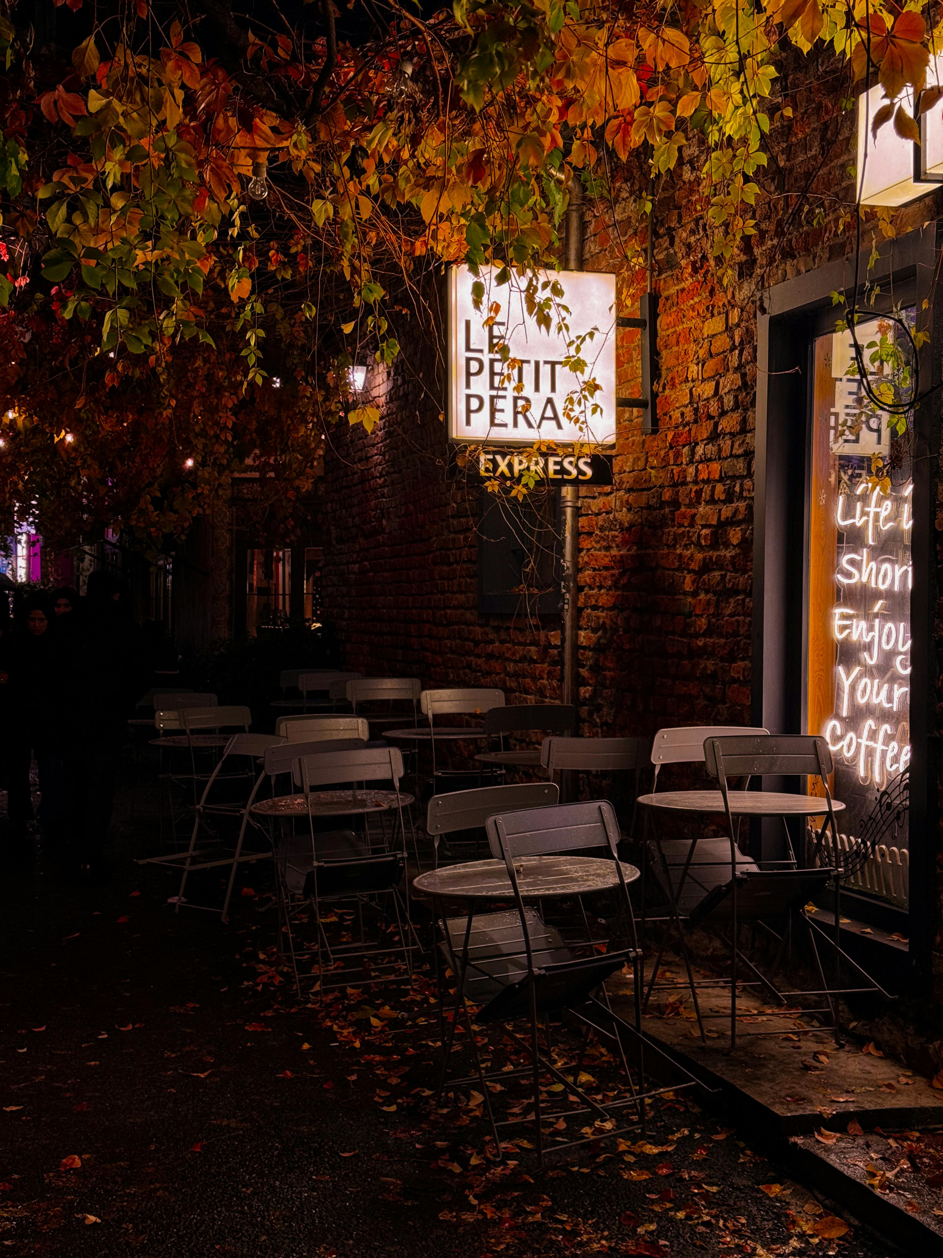 Cozy Night Time Cafe with Fall Foliage · Free Stock Photo
