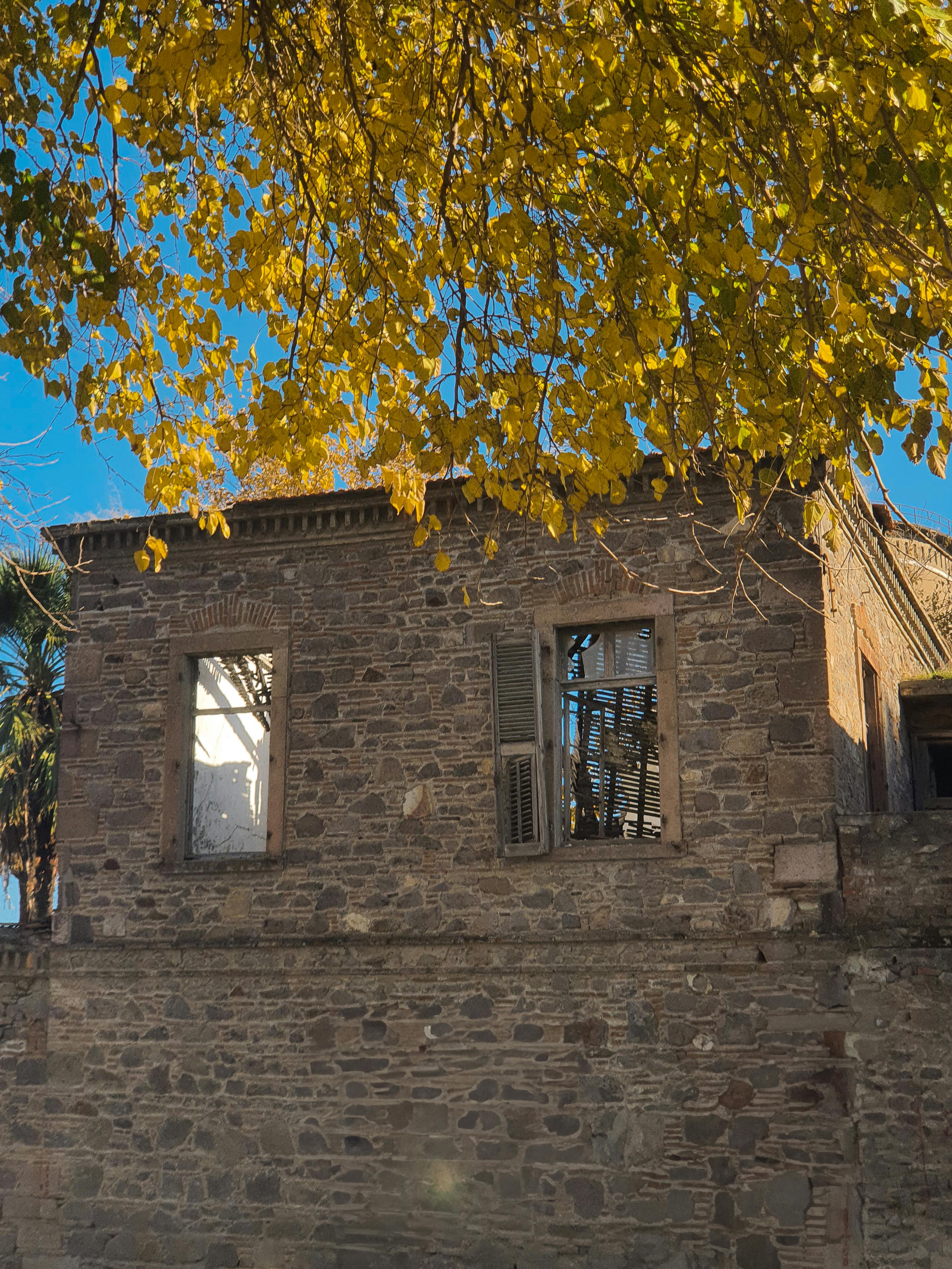 Historic Stone Building in Autumn Light · Free Stock Photo
