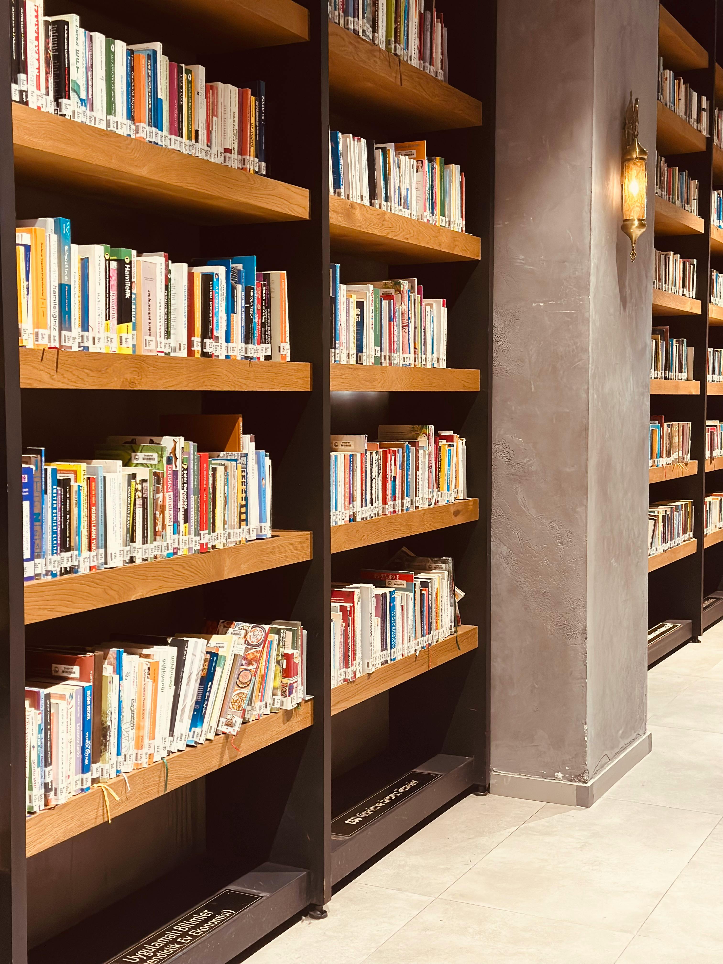 Hafize Balcı - 摄影