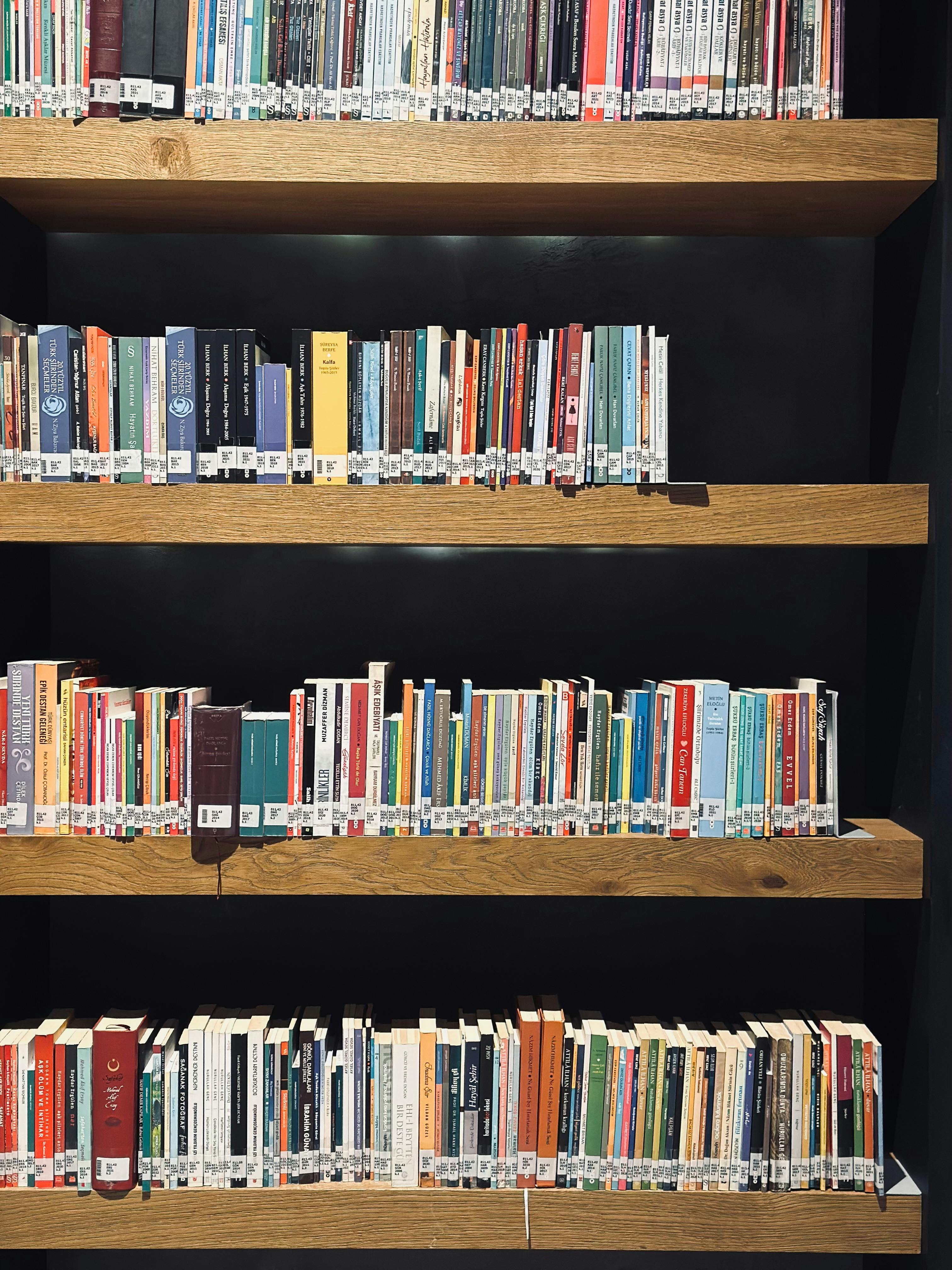 Hafize Balcı - 摄影