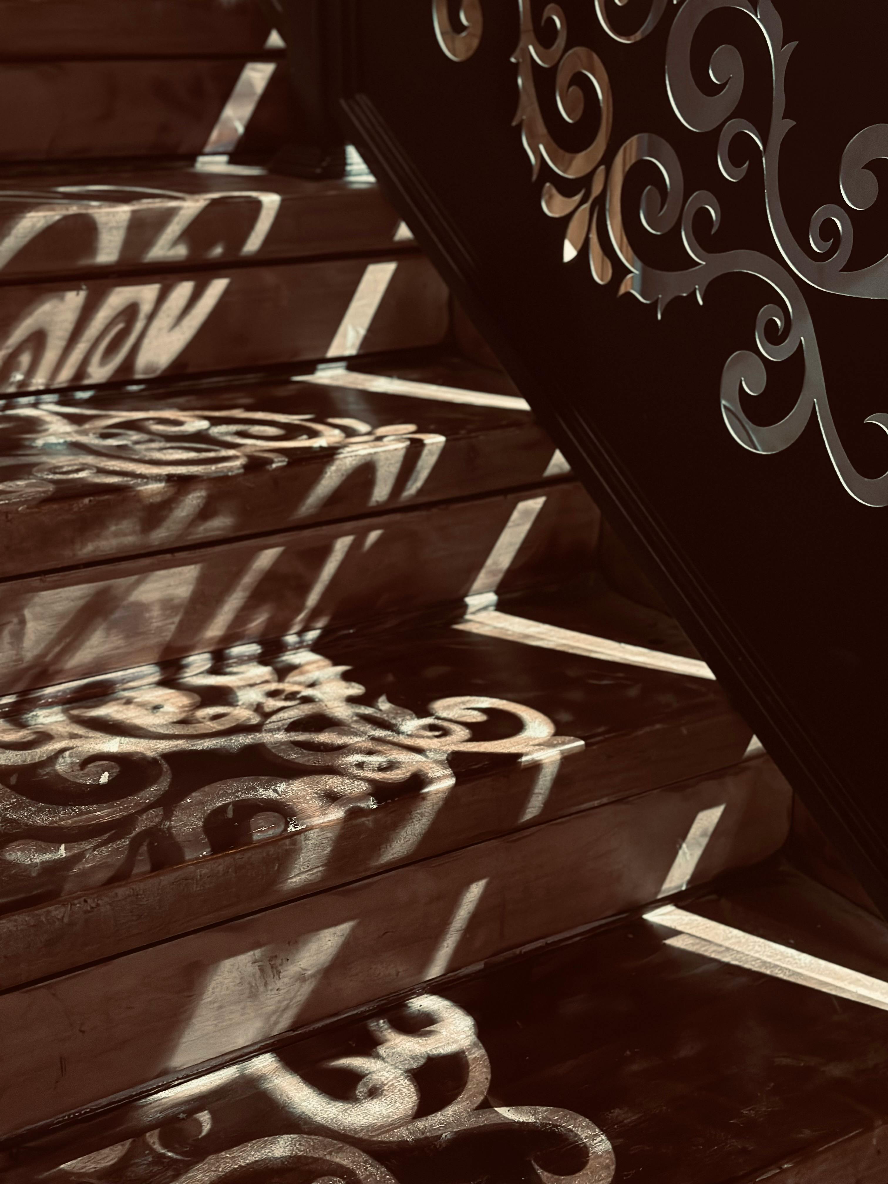 Hafize Balcı - 摄影