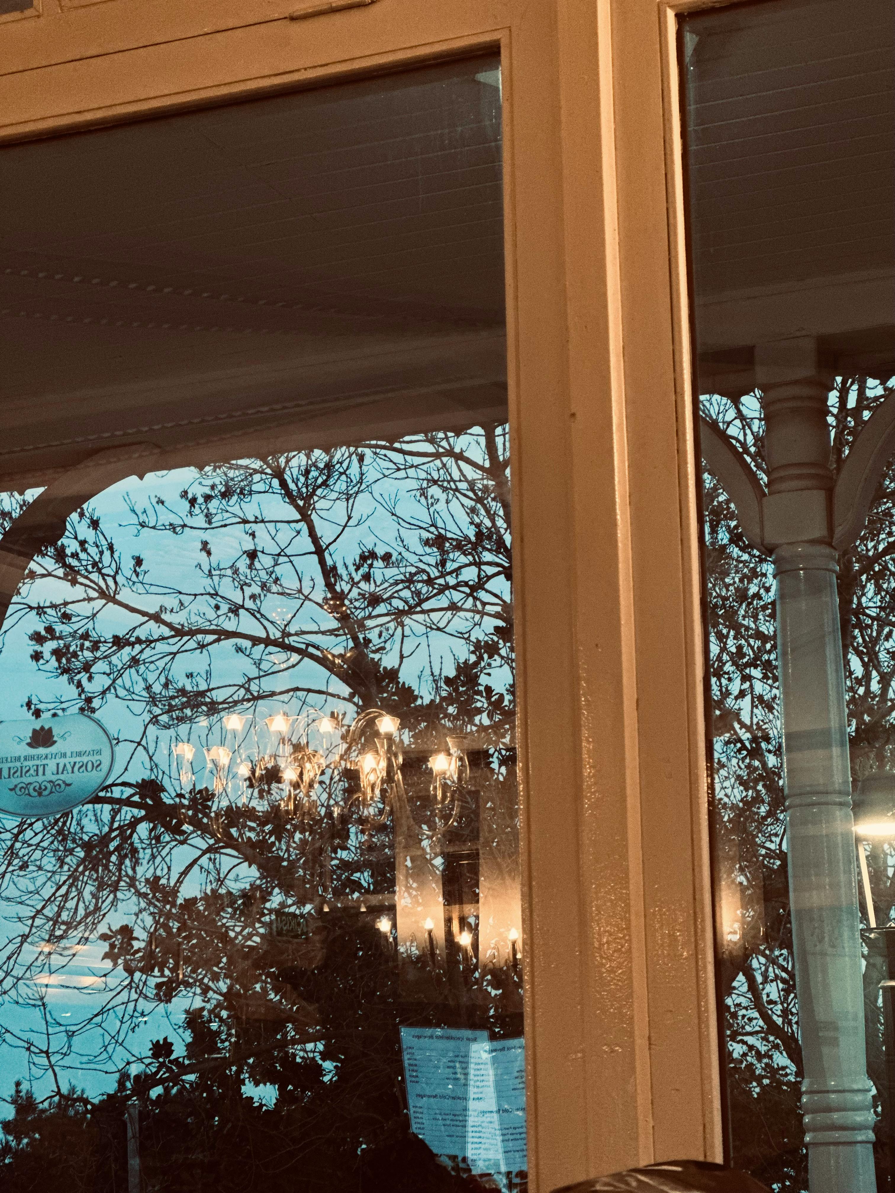 Hafize Balcı - 摄影