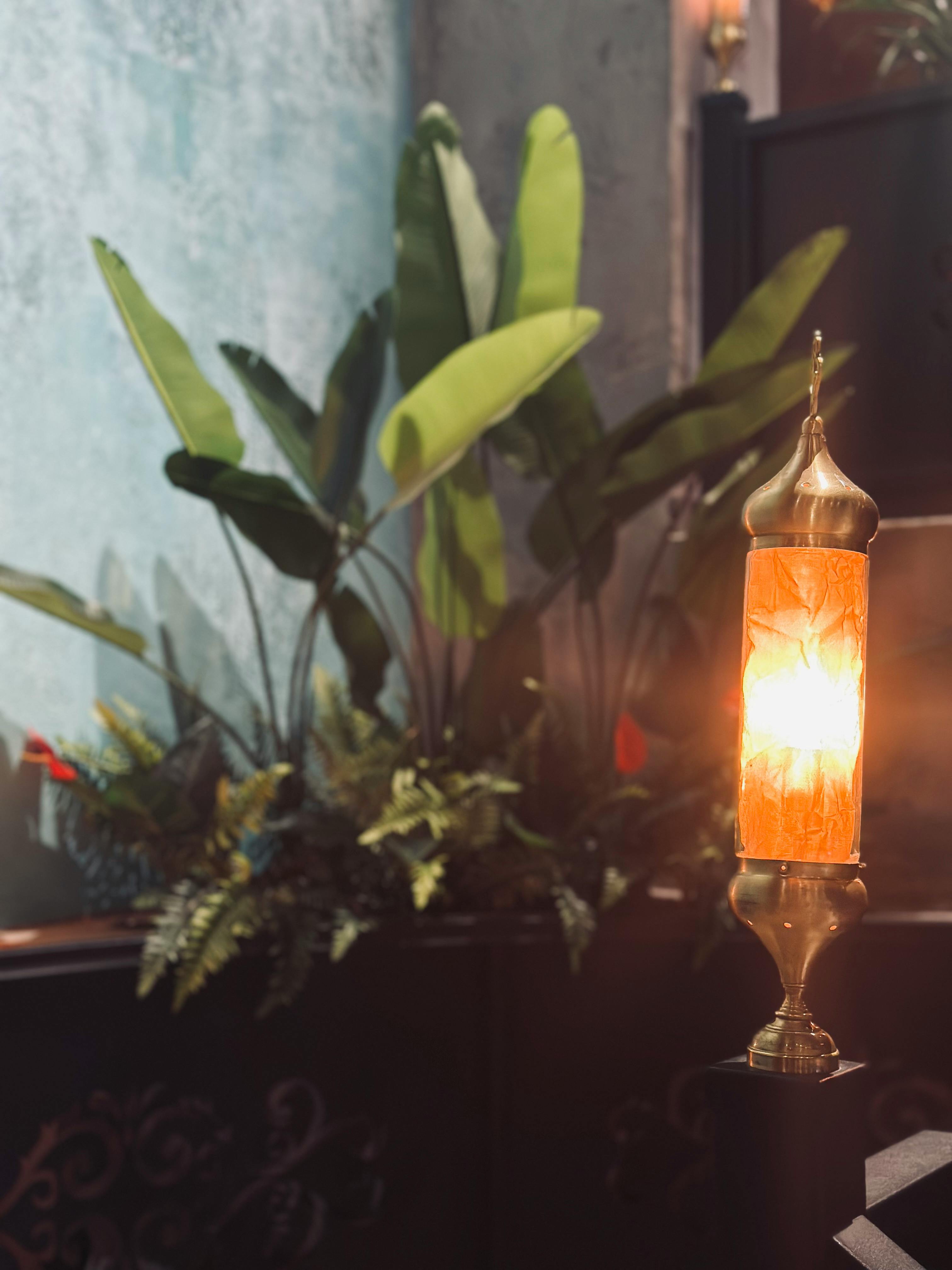 Hafize Balcı - 摄影