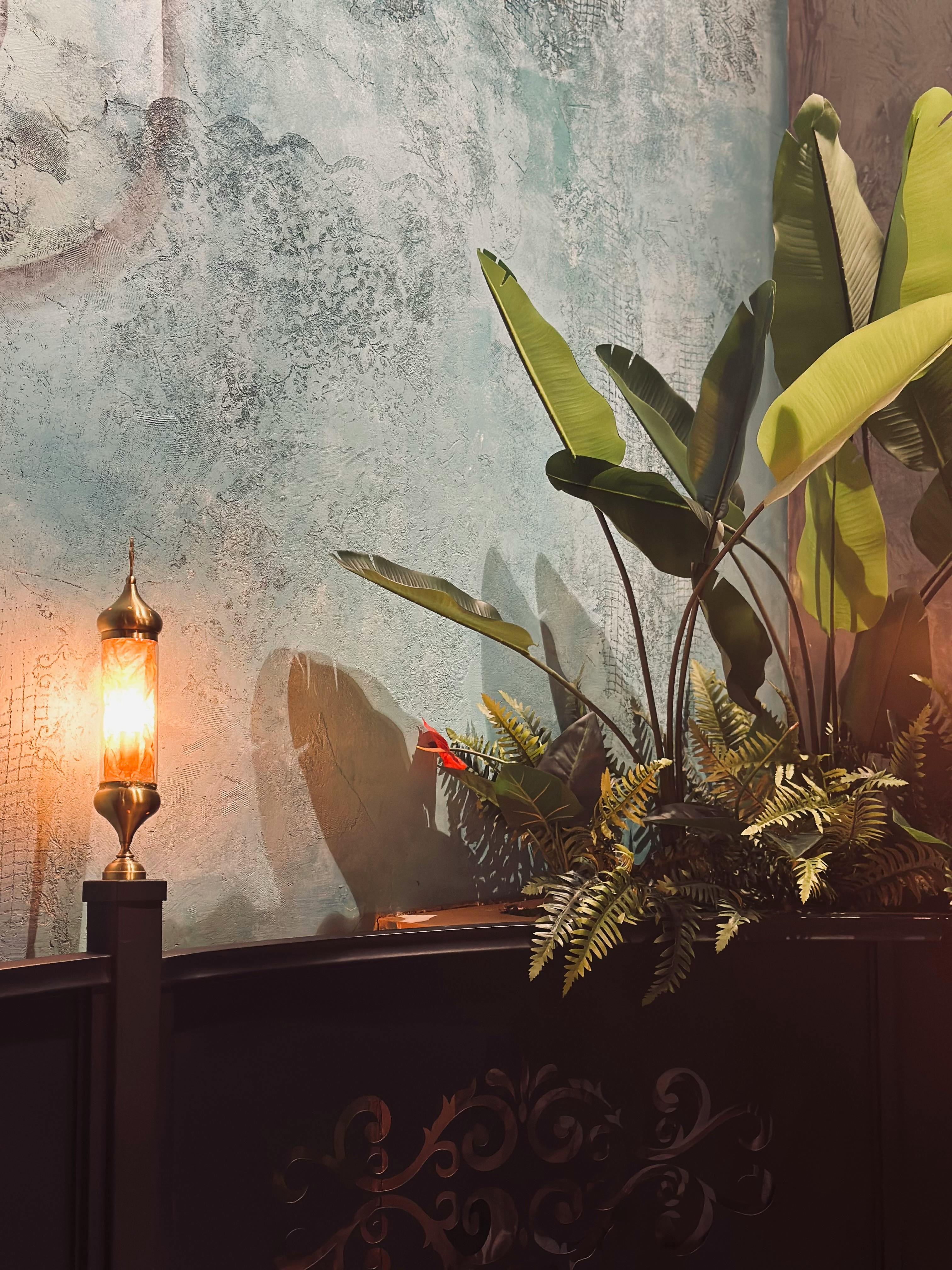 Hafize Balcı - 摄影