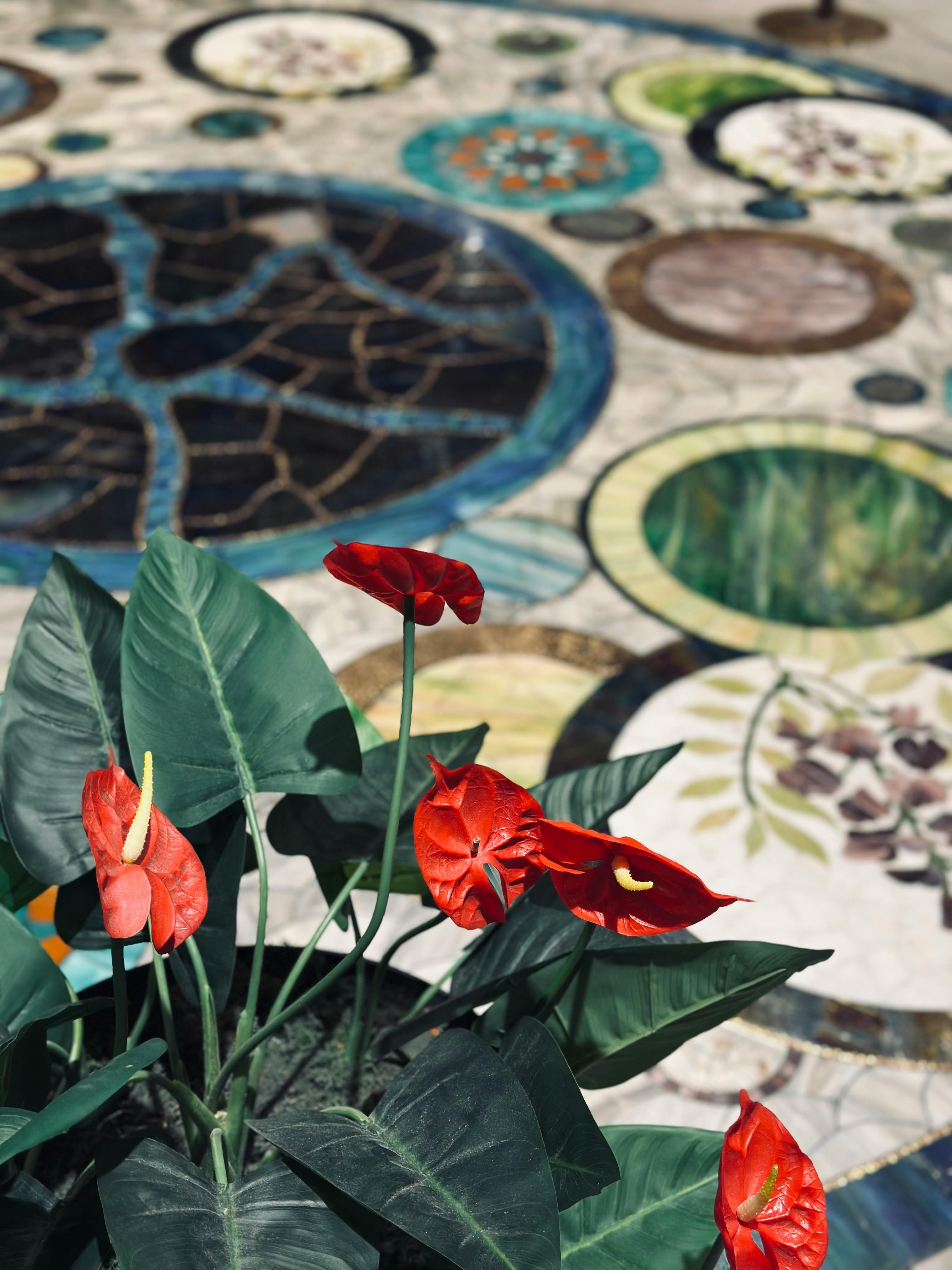 Hafize Balcı - 摄影