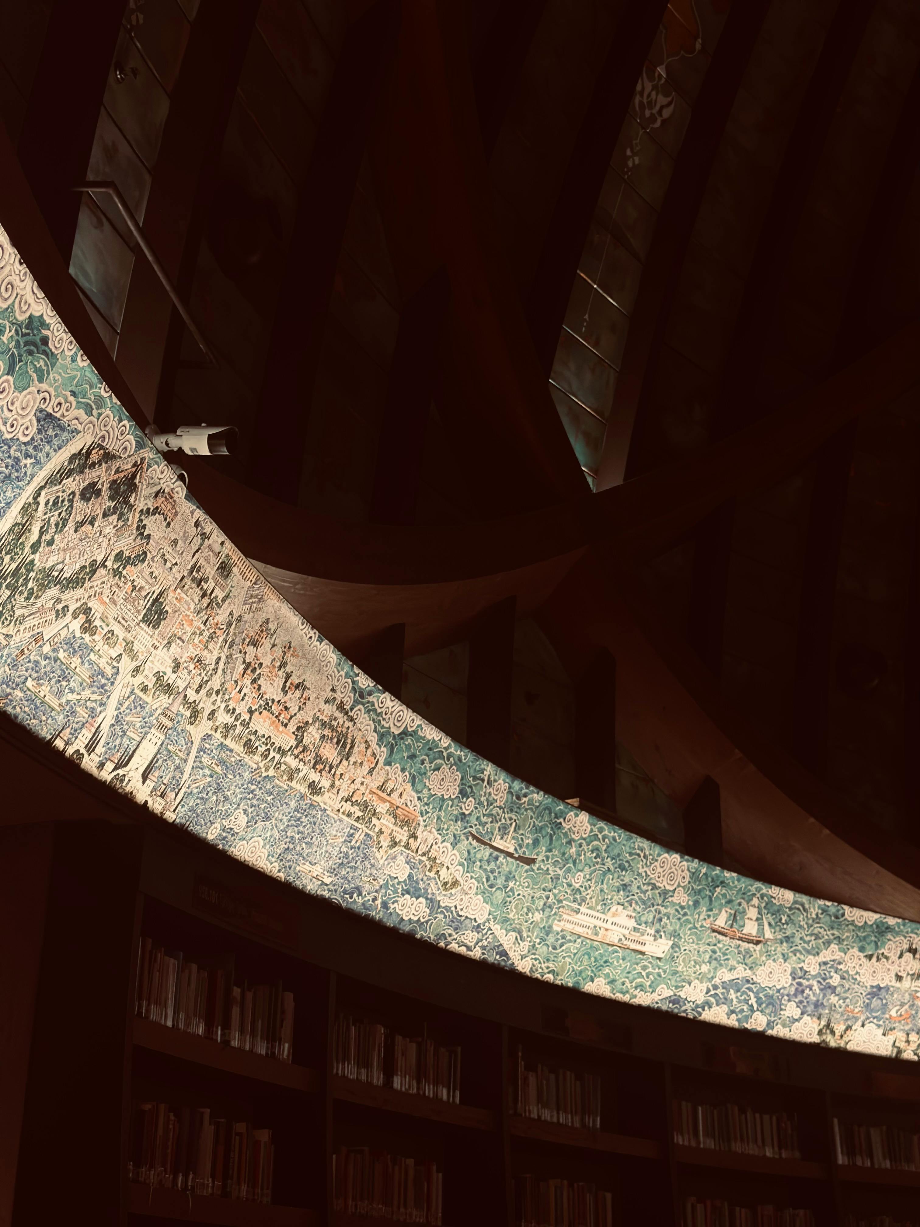 Hafize Balcı - 摄影