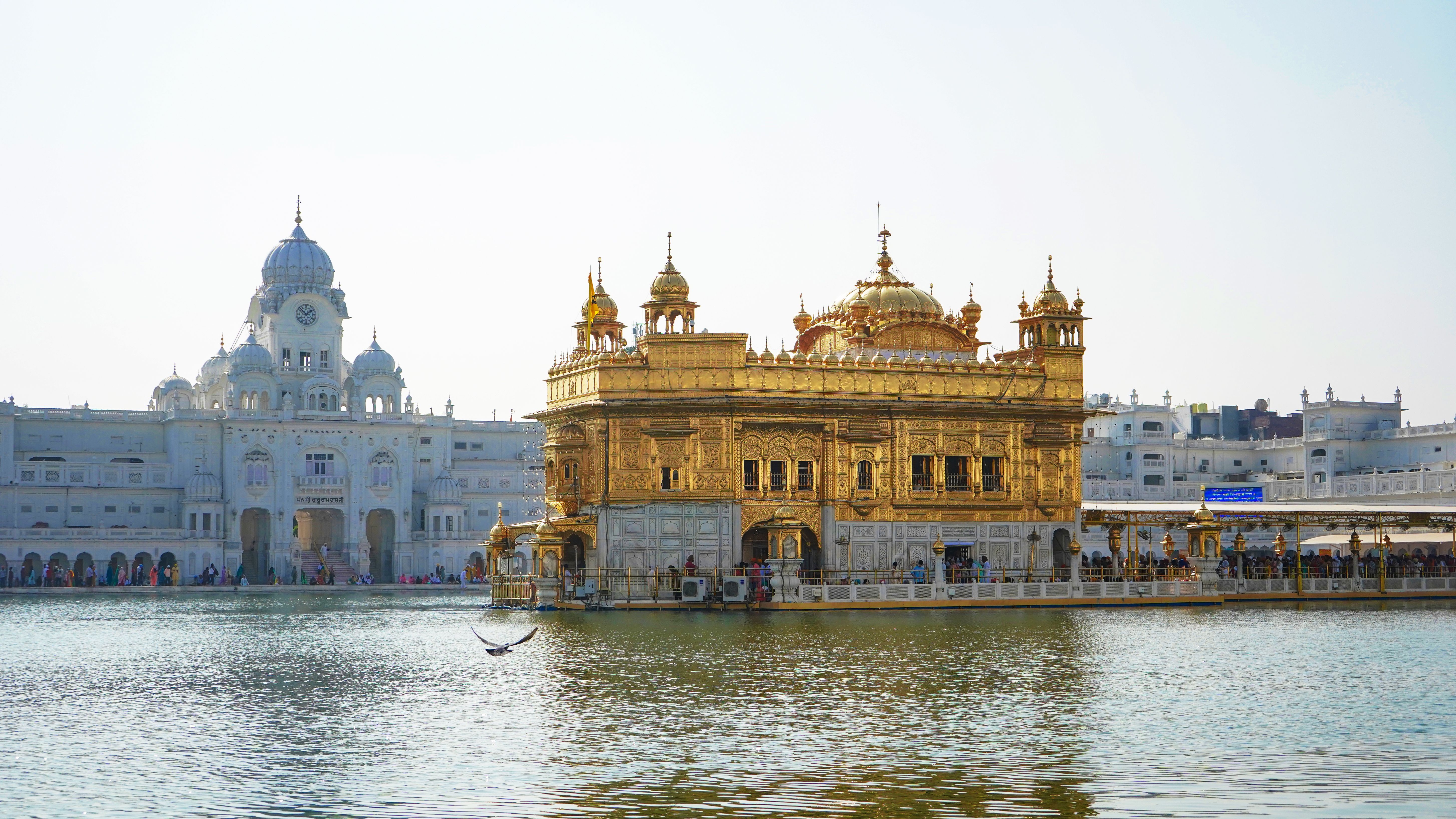 Aerial View of the Golden Temple, Amritsar, Punjab, India · Free Stock ...