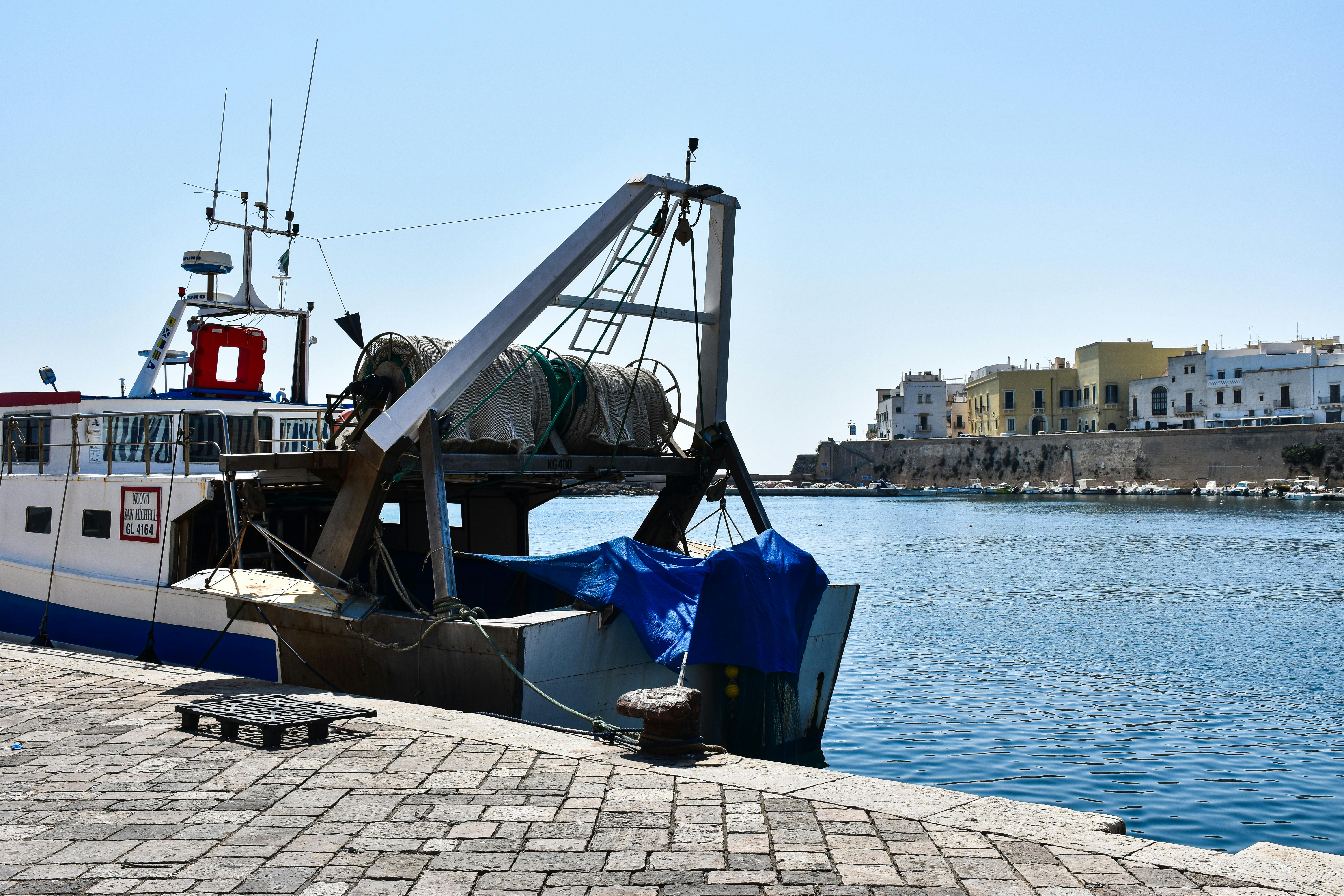 Quay Trinh Xac Thc Photos, Download The BEST Free Quay Trinh Xac Thc ...