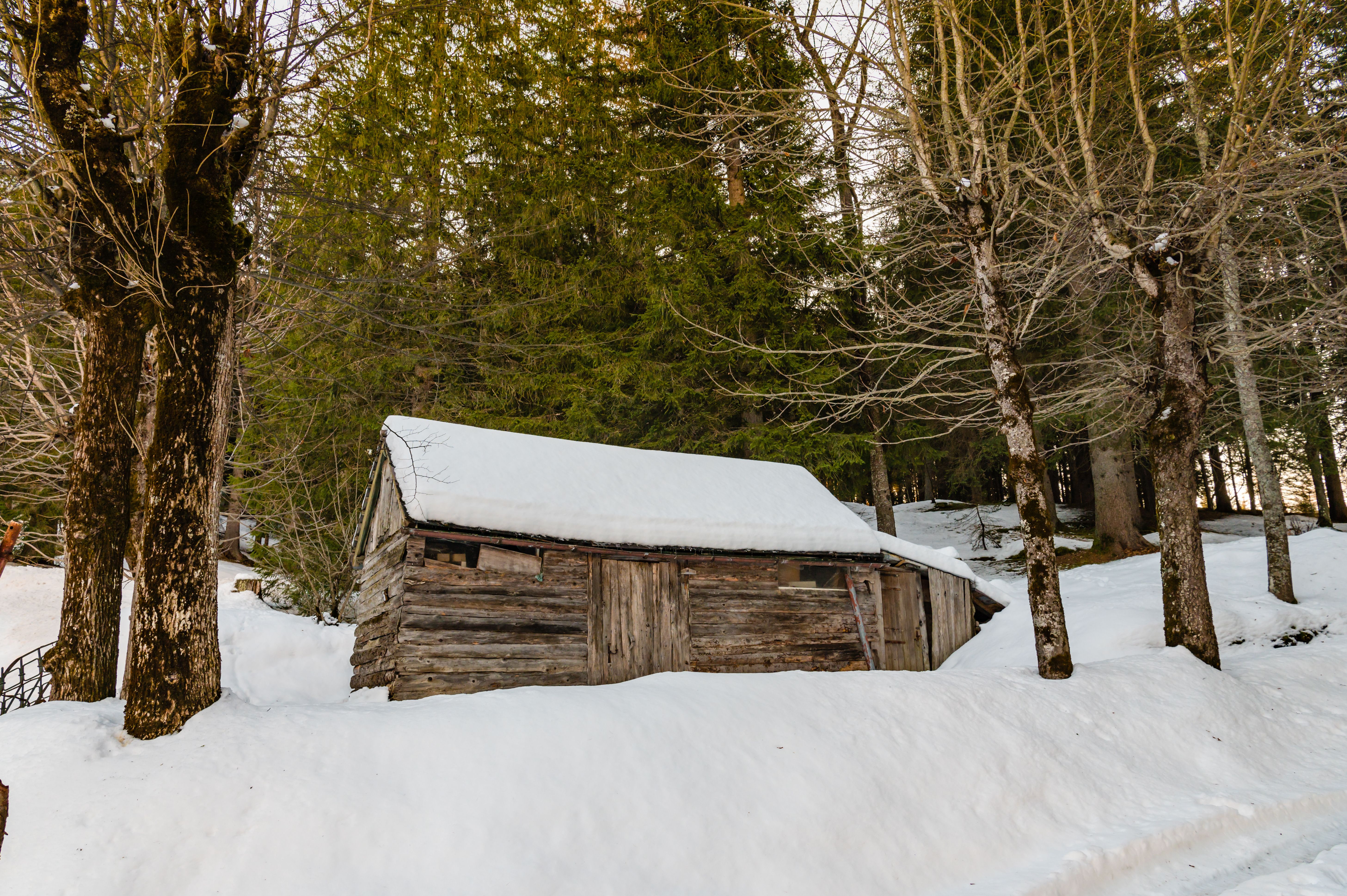 Winter Cabin in Snow-capped Italian Alps · Free Stock Photo