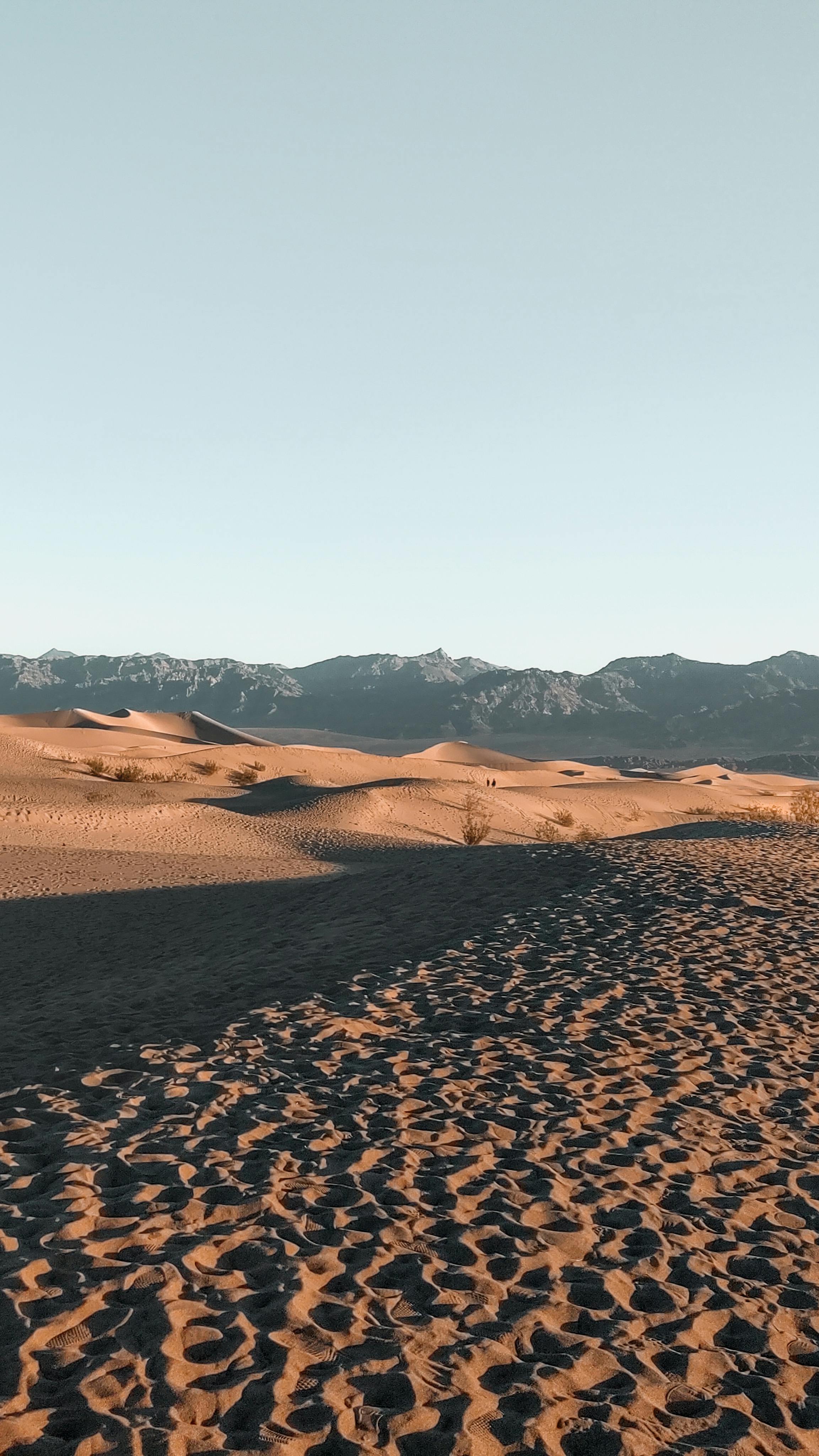 Sunlit Sand Dunes with Mountain Backdrop · Free Stock Photo