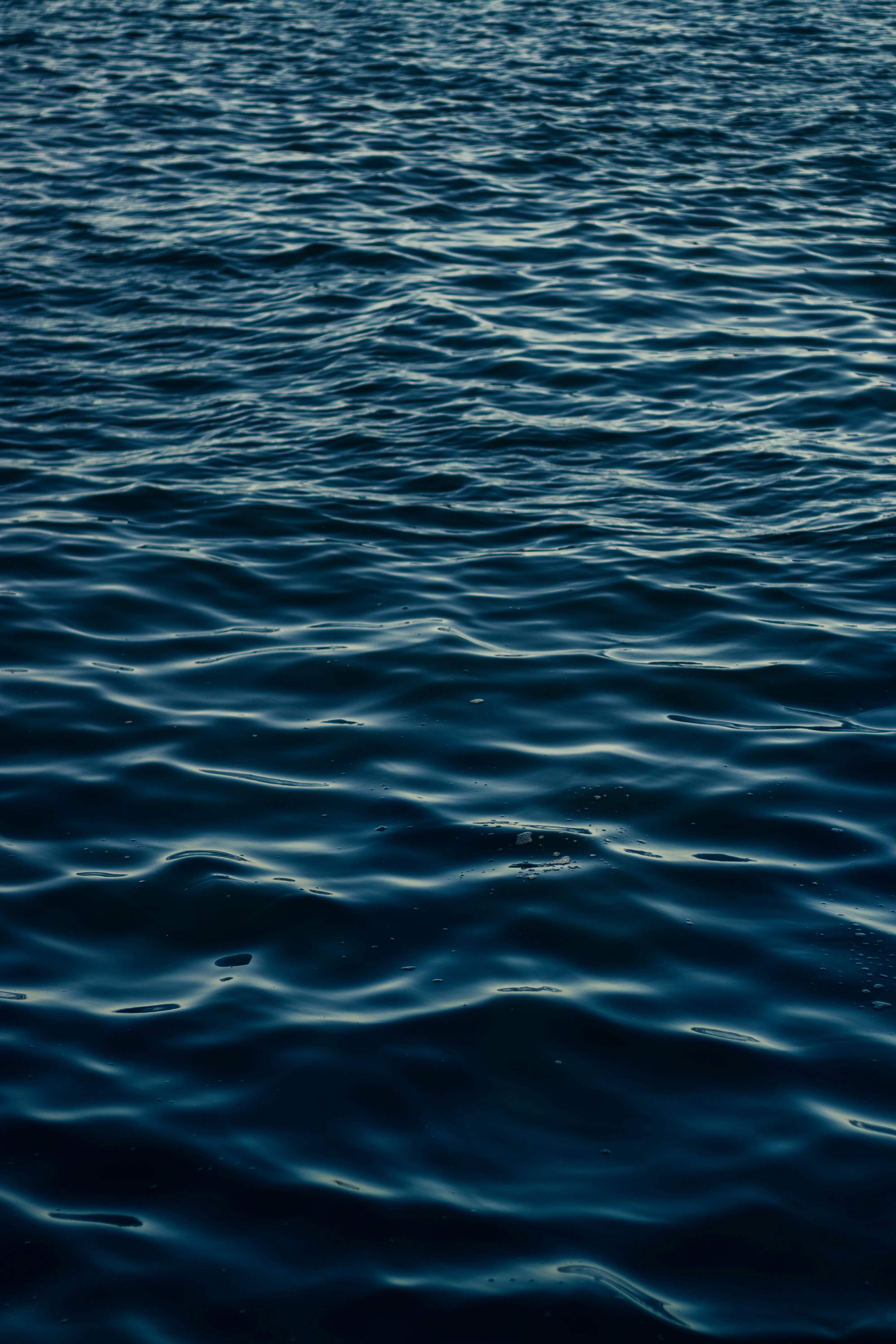 Wet Texture Map Photos, Download The BEST Free Wet Texture Map Stock ...