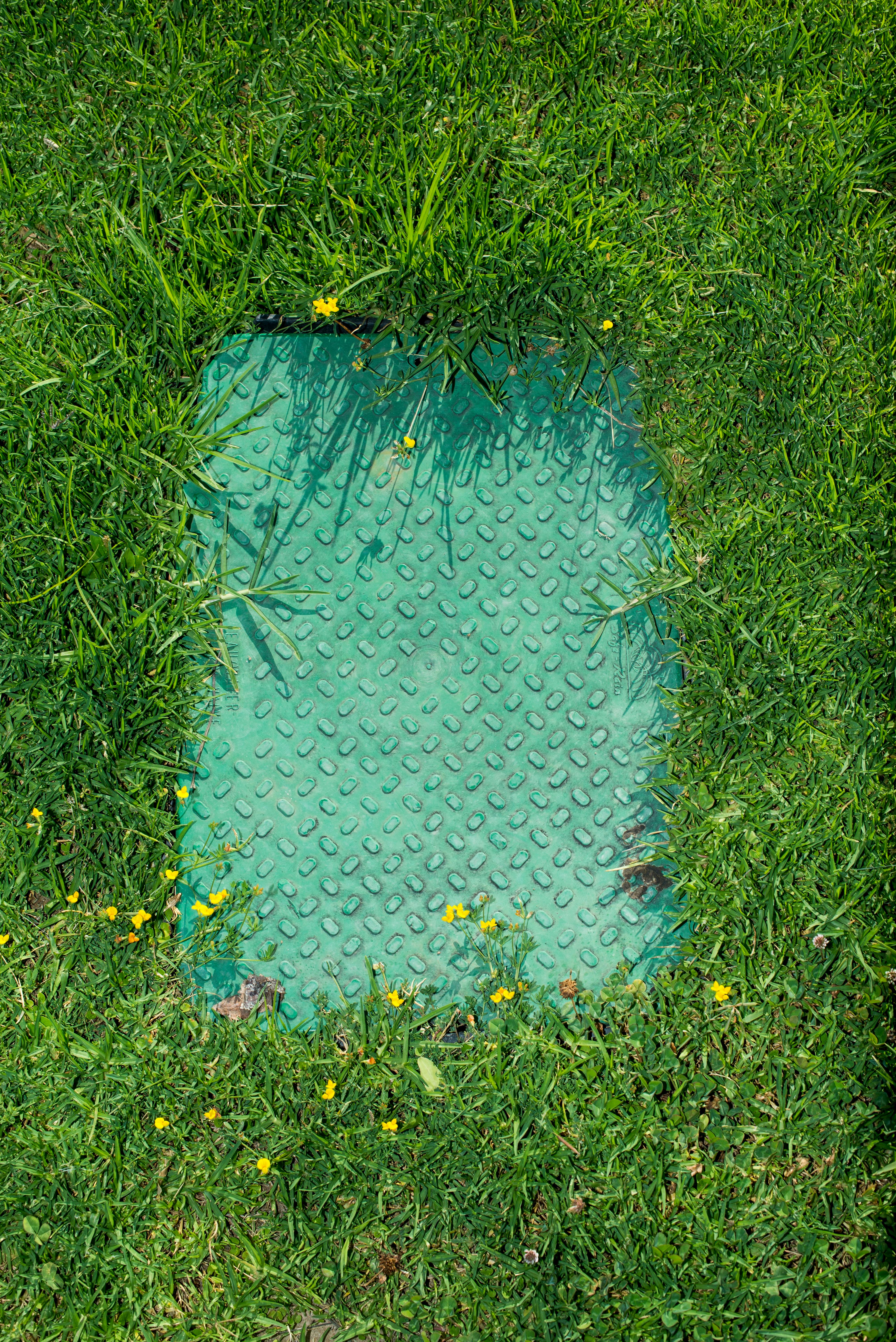 Green Utility Cover on Lush Grass · Free Stock Photo