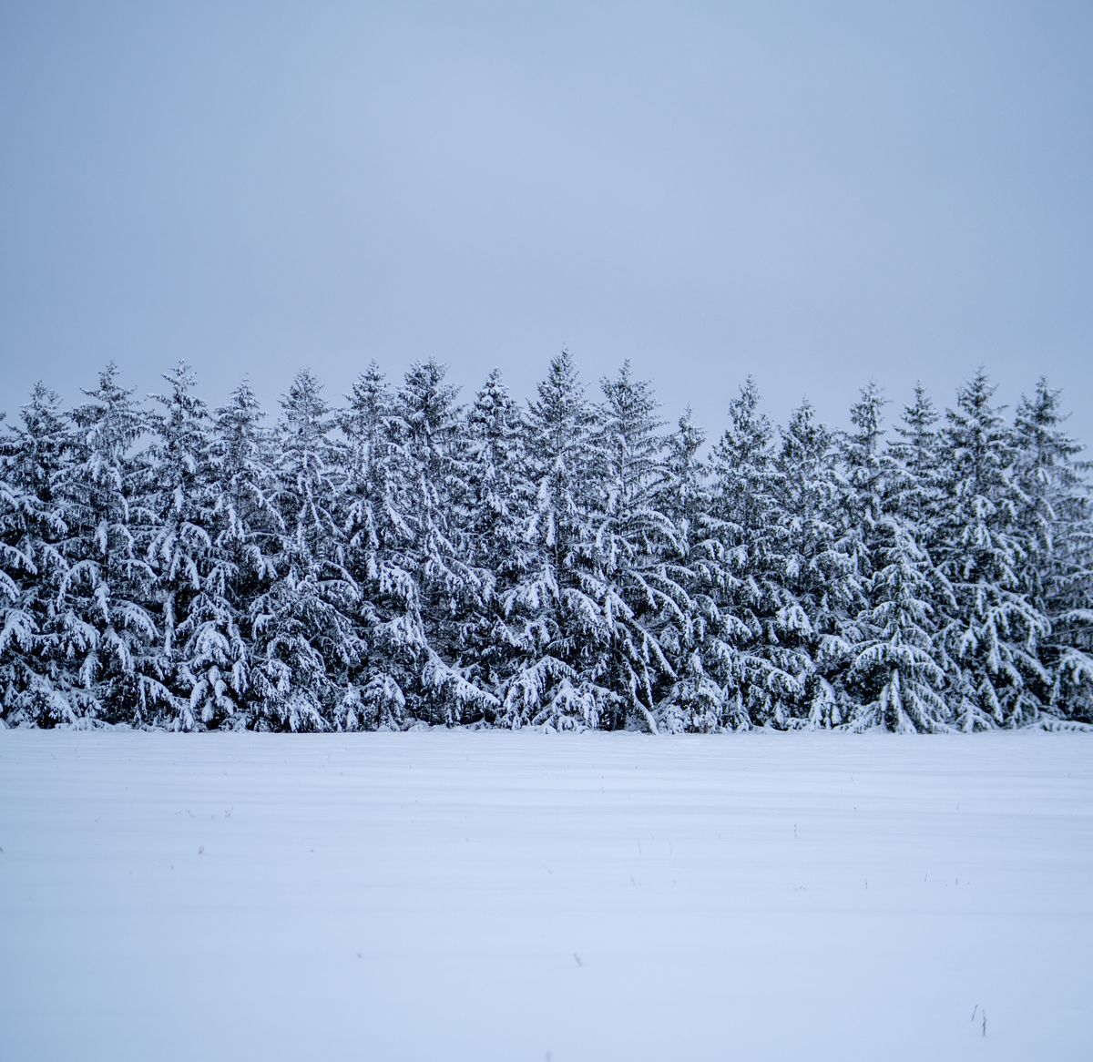 Deep Snow Photos, Download The BEST Free Deep Snow Stock Photos & HD Images