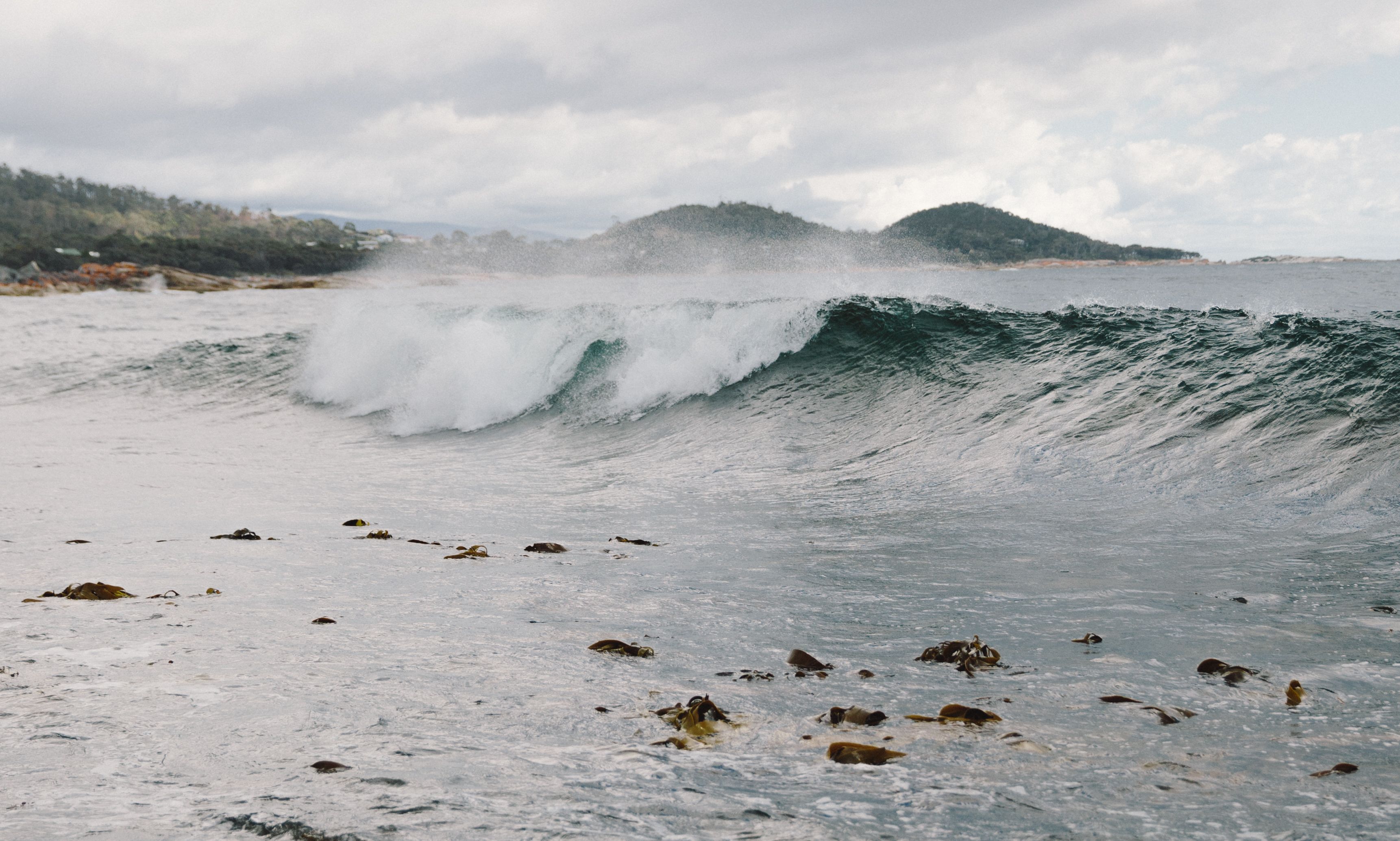 Captivating Ocean Wave at Bicheno, Tasmania · Free Stock Photo