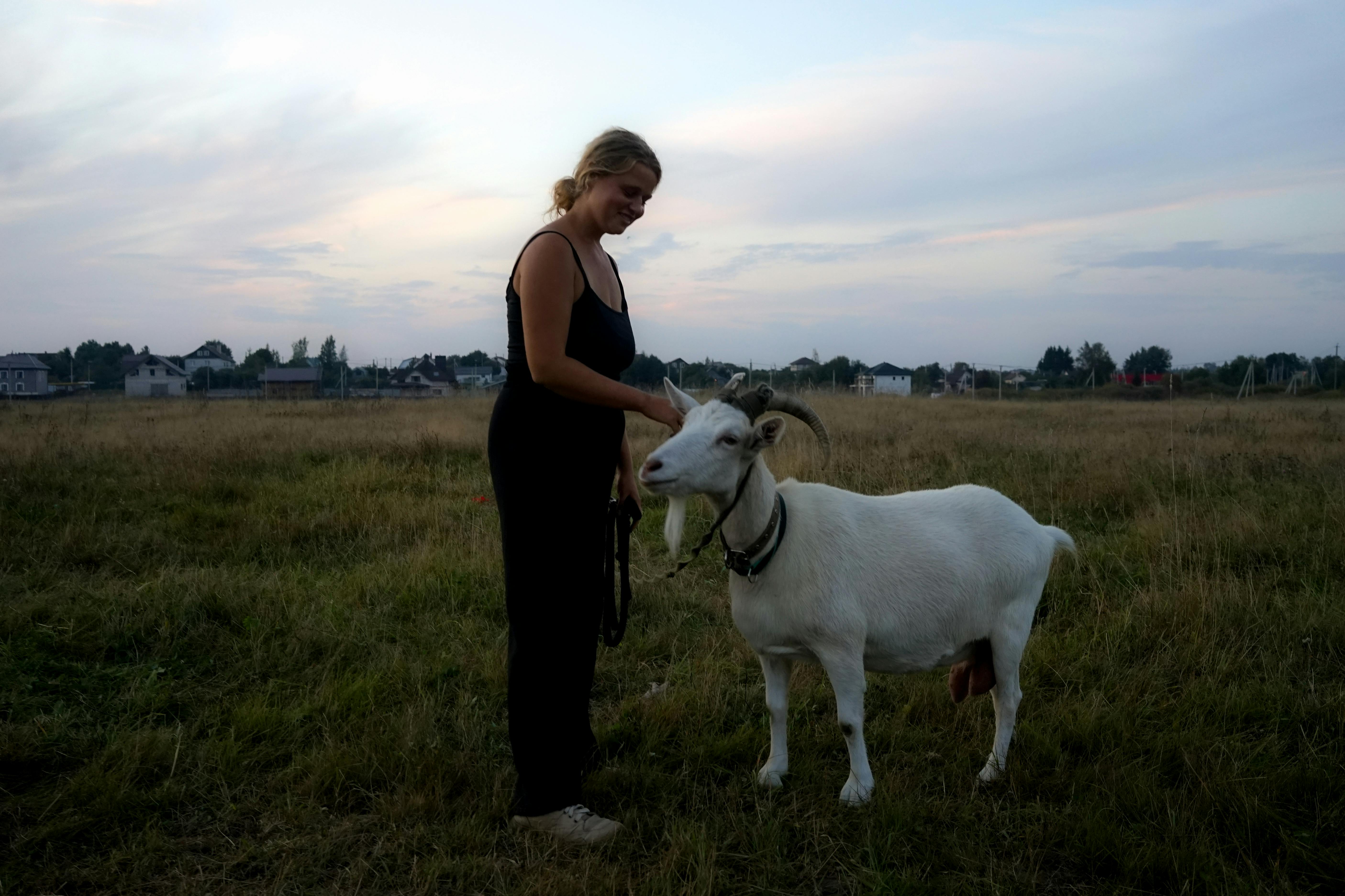Woman with Goat in Tranquil Pasture at Sunset · Free Stock Photo