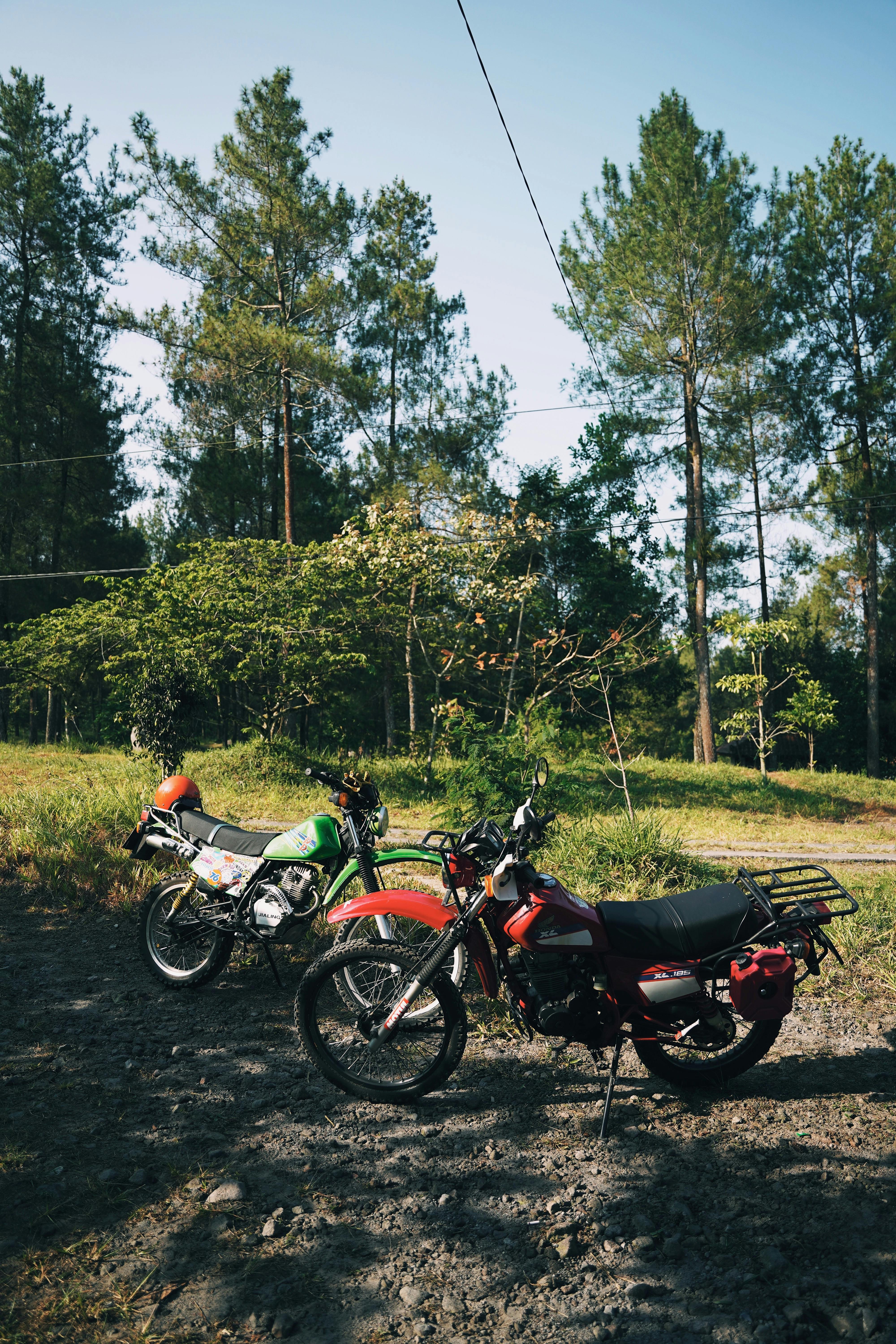 Two Off-Road Motorcycles Parked in Forest · Free Stock Photo