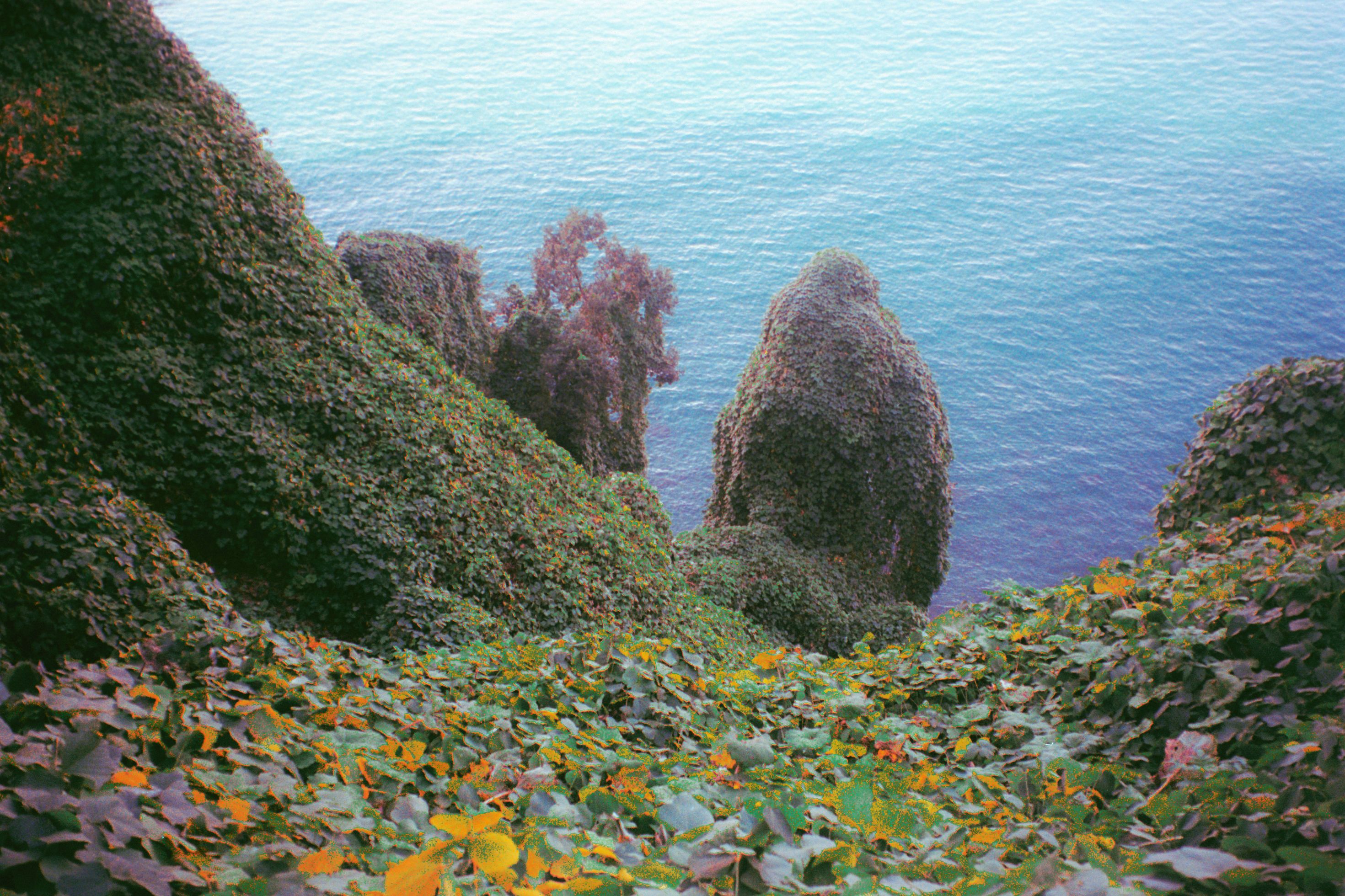 Lush Green Cliffs Overlooking the Blue Sea · Free Stock Photo