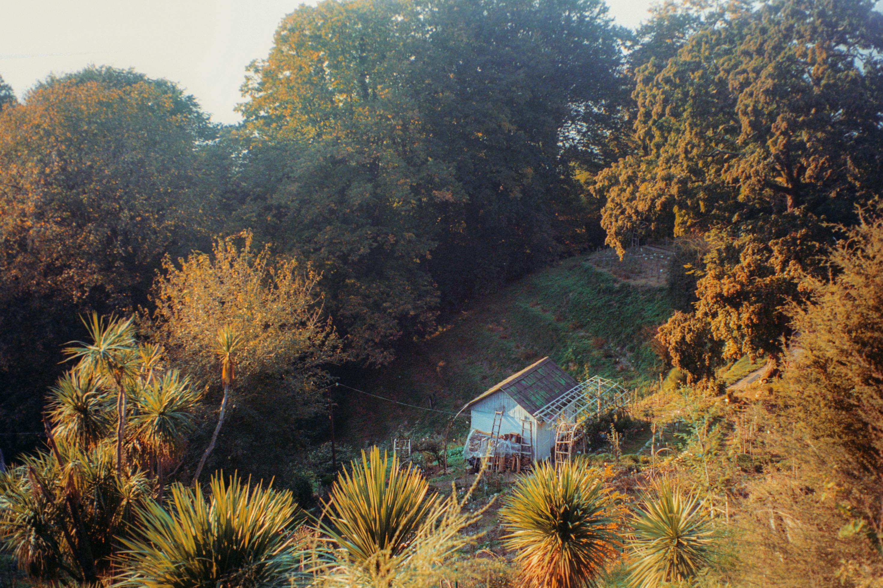 Kabin Lereng Bukit Yang Tenang Dan Hutan Yang Rimbun · Foto Stok Gratis