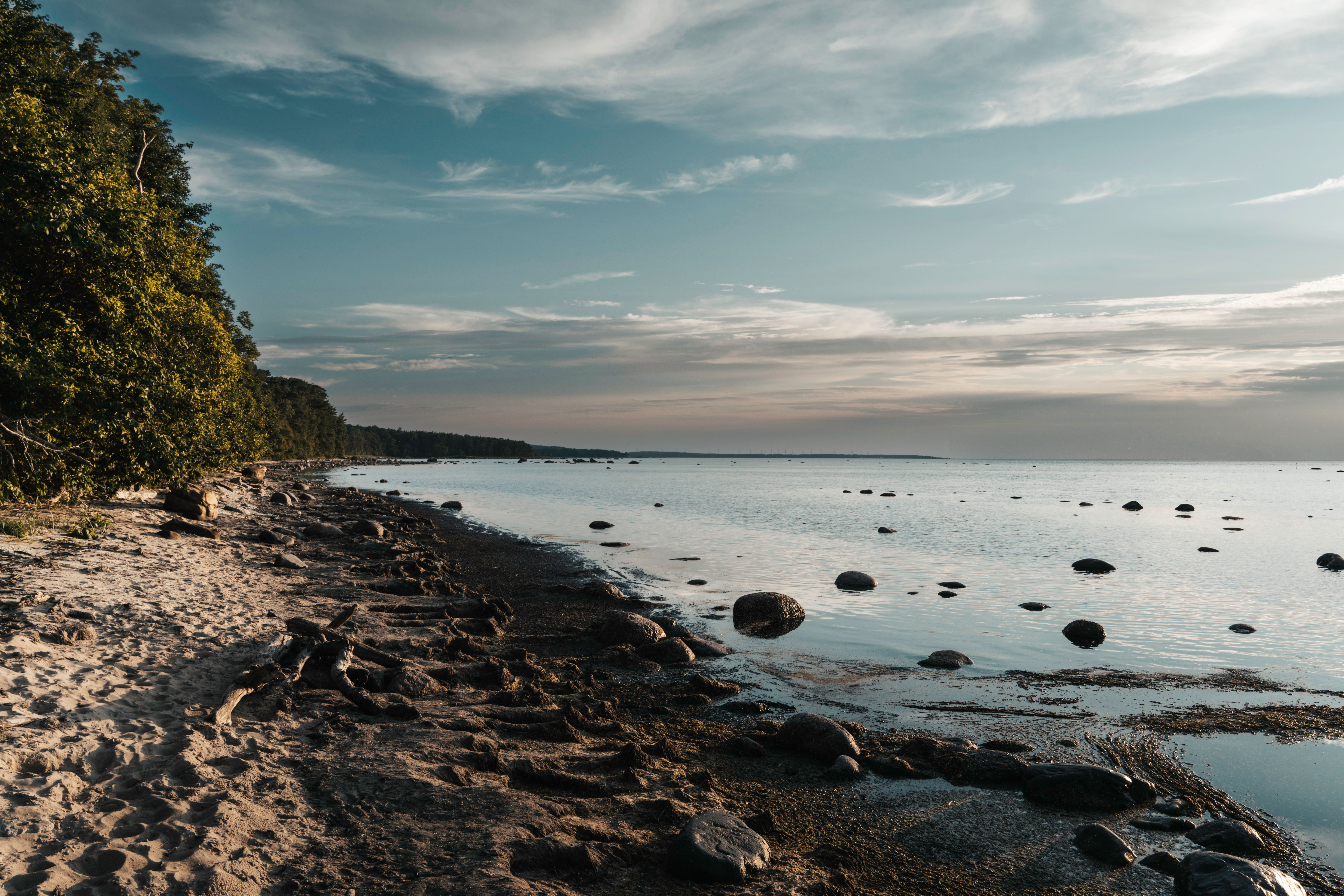 Peaceful Baltic Sea Shoreline with Scenic Sky · Free Stock Photo