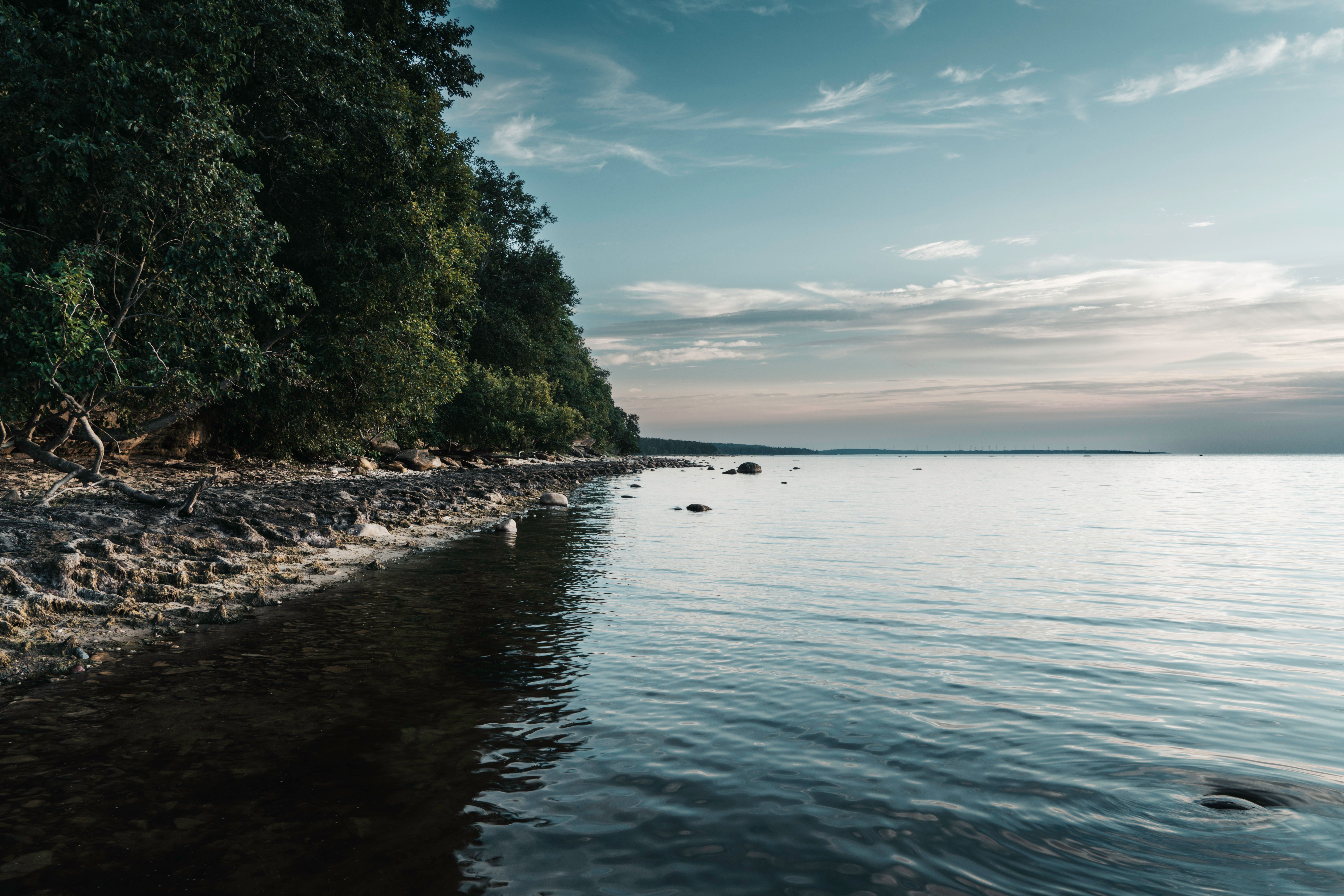 Tranquil Seaside at Dusk with Rocky Shoreline · Free Stock Photo
