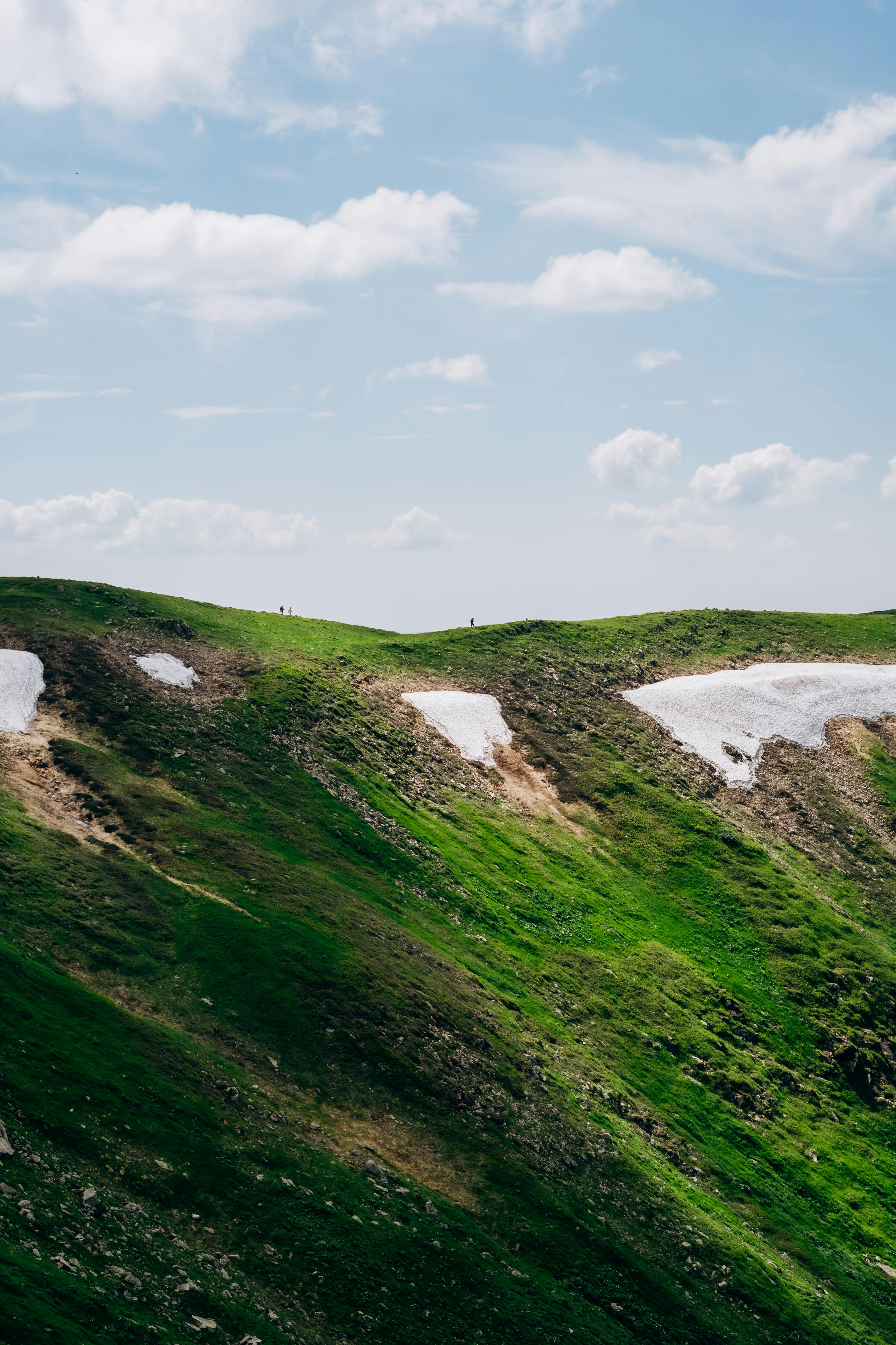 Green Patches Of Grass Photos, Download The BEST Free Green Patches Of ...