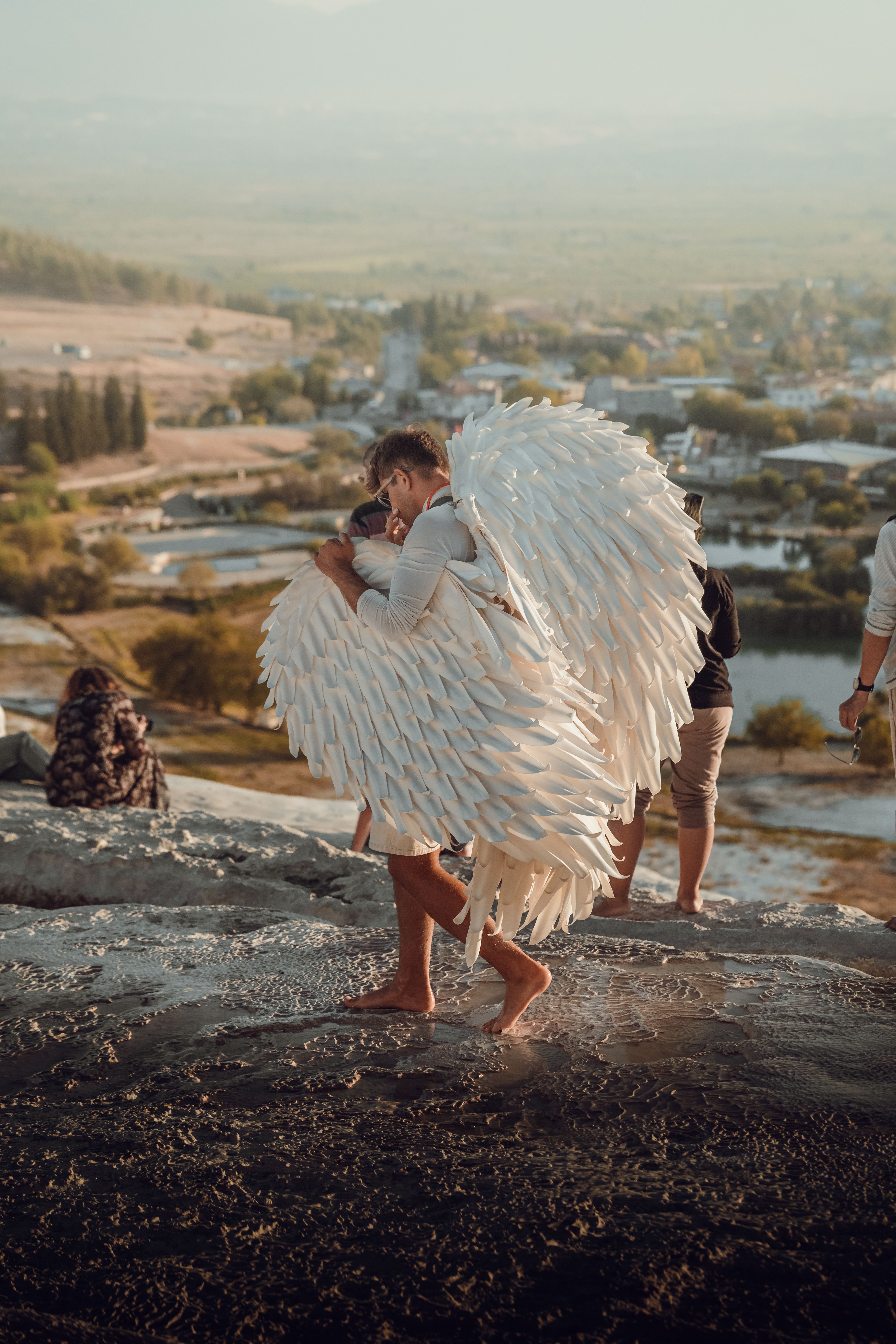 Angel in Feathered Wings Overlooking Scenic Landscape · Free Stock Photo