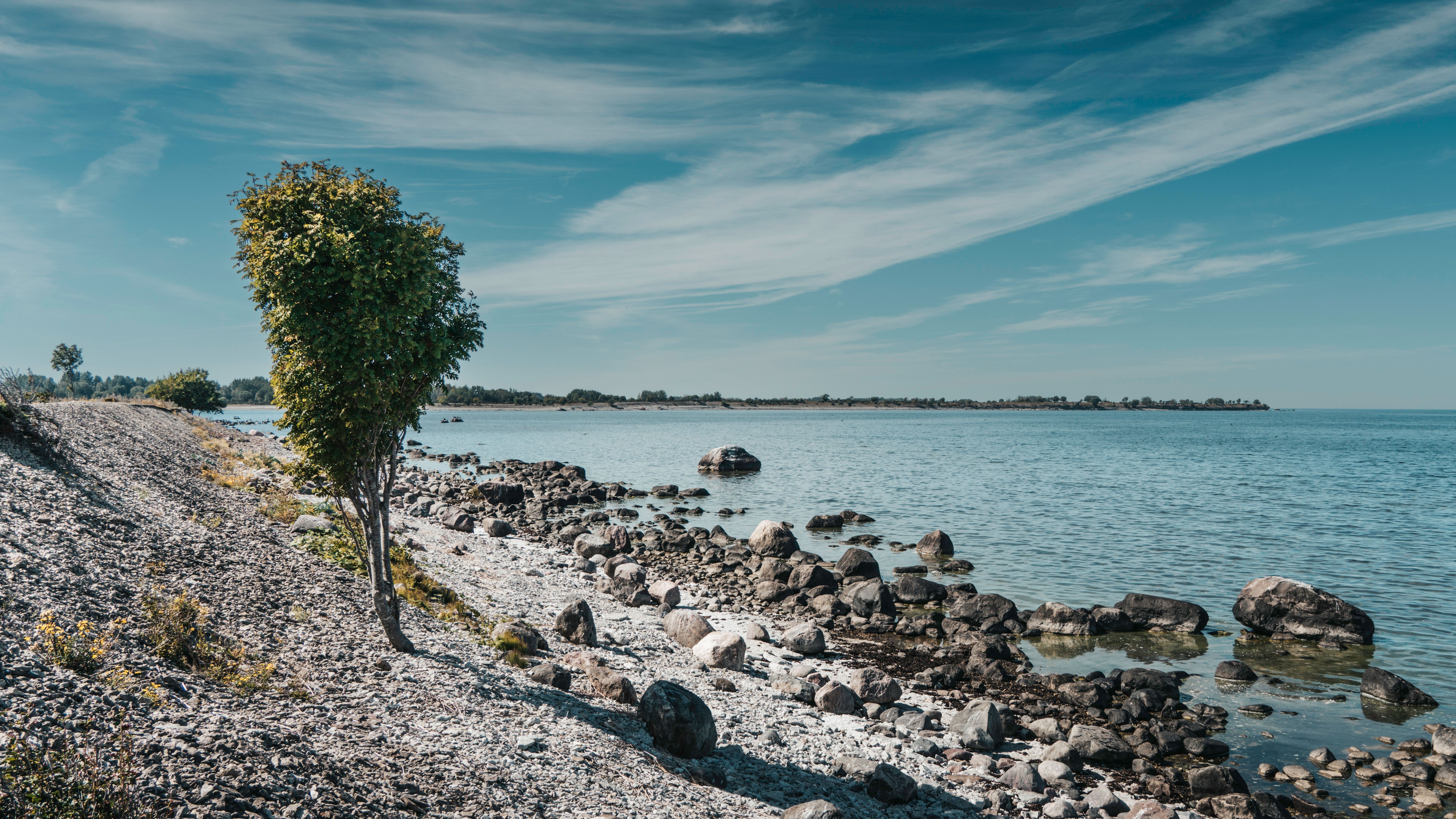 Scenic Rocky Shoreline with Clear Blue Skies · Free Stock Photo