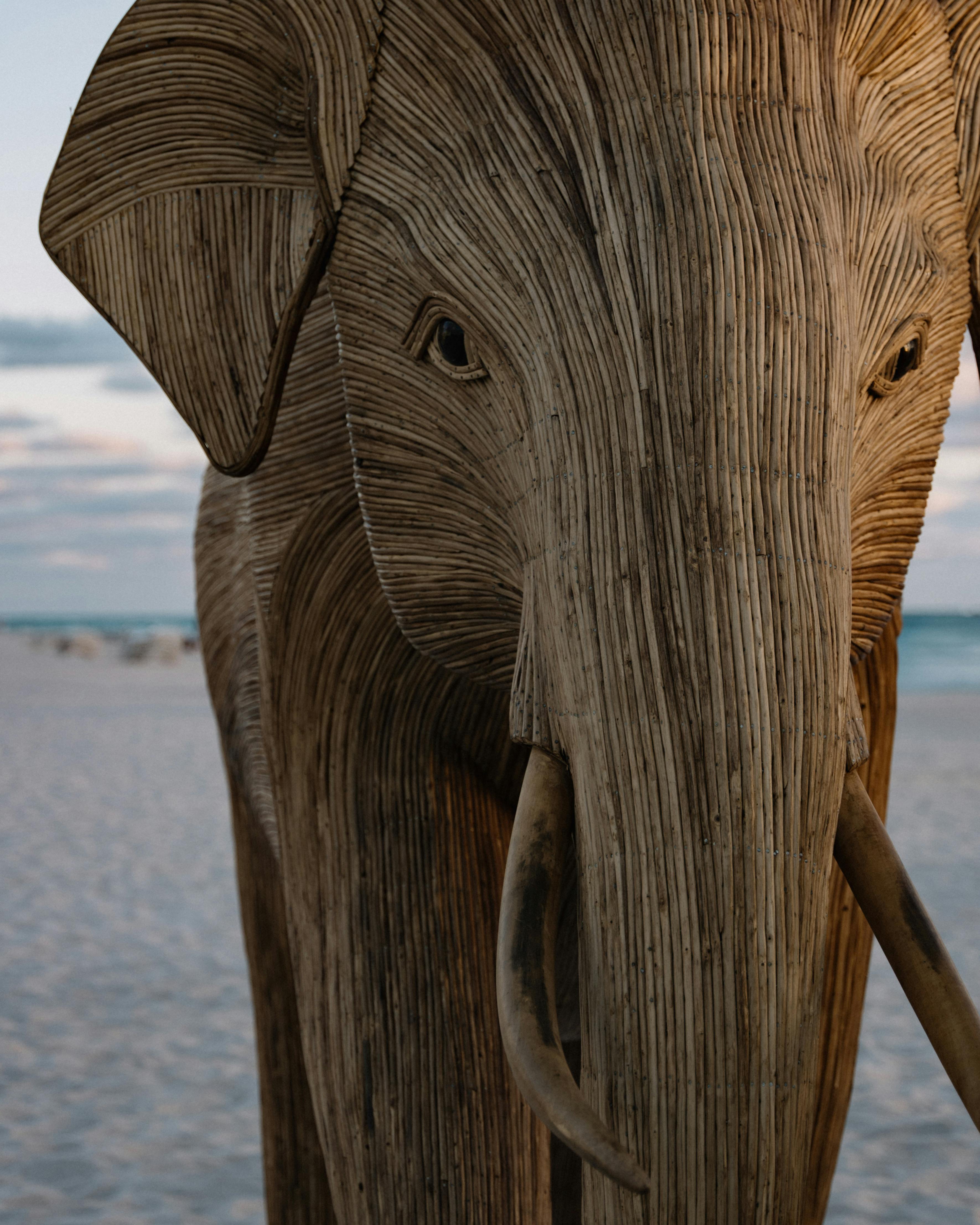 Wooden Elephant Sculpture on Miami Beach · Free Stock Photo