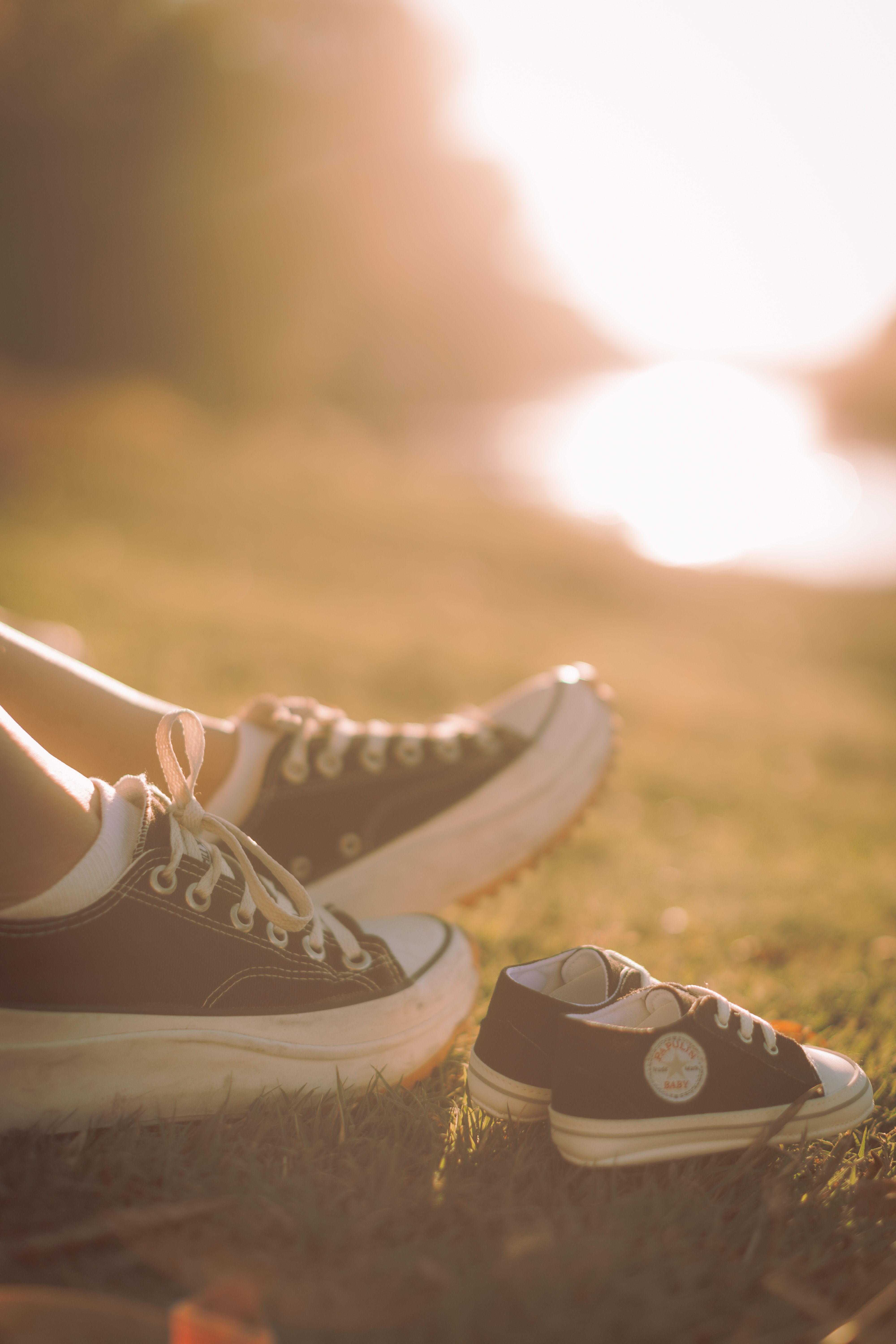 Casual Shoes in Sunlit Outdoor Setting · Free Stock Photo