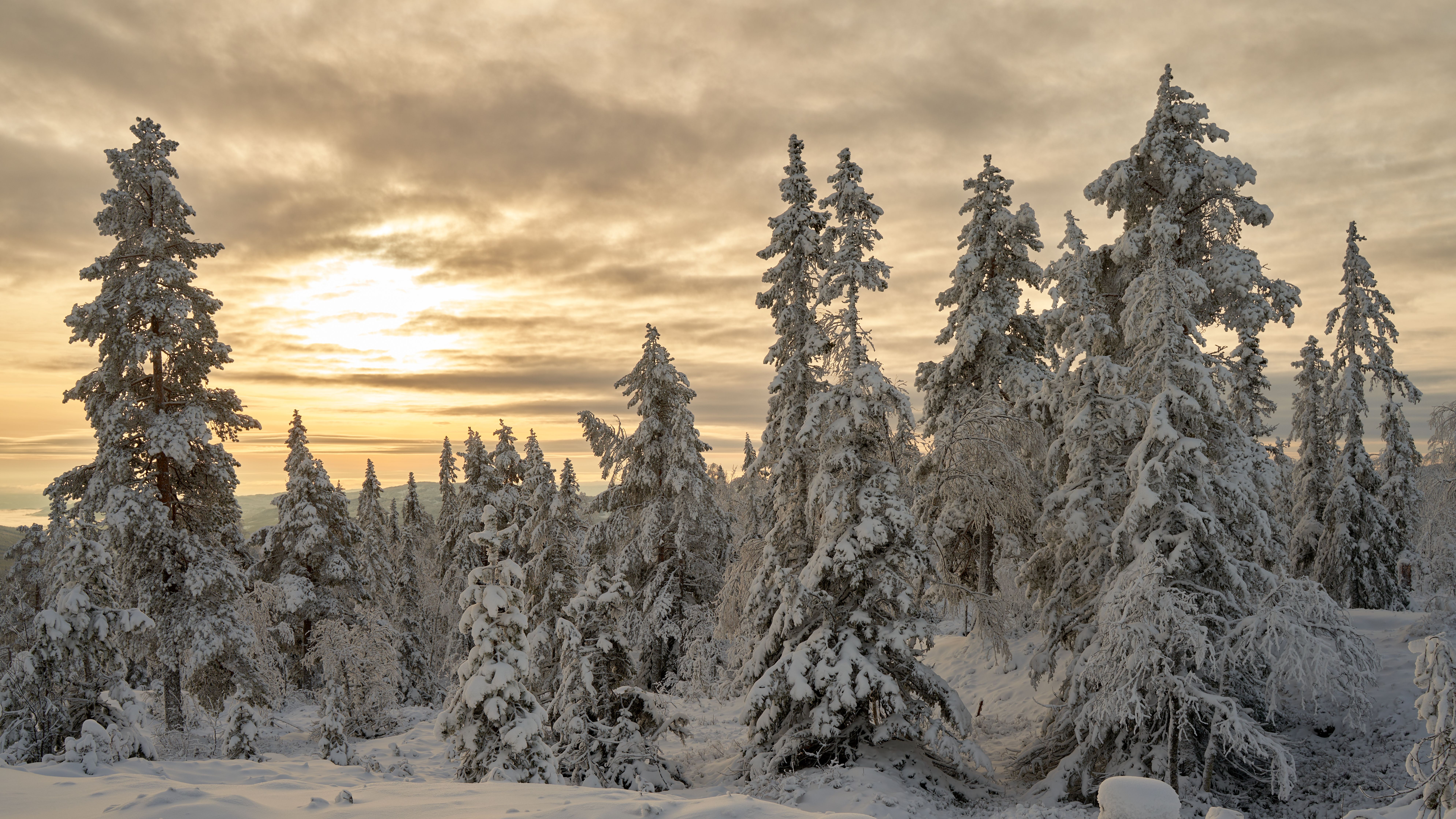 Serene Winter Landscape in Krøderen, Norway · Free Stock Photo