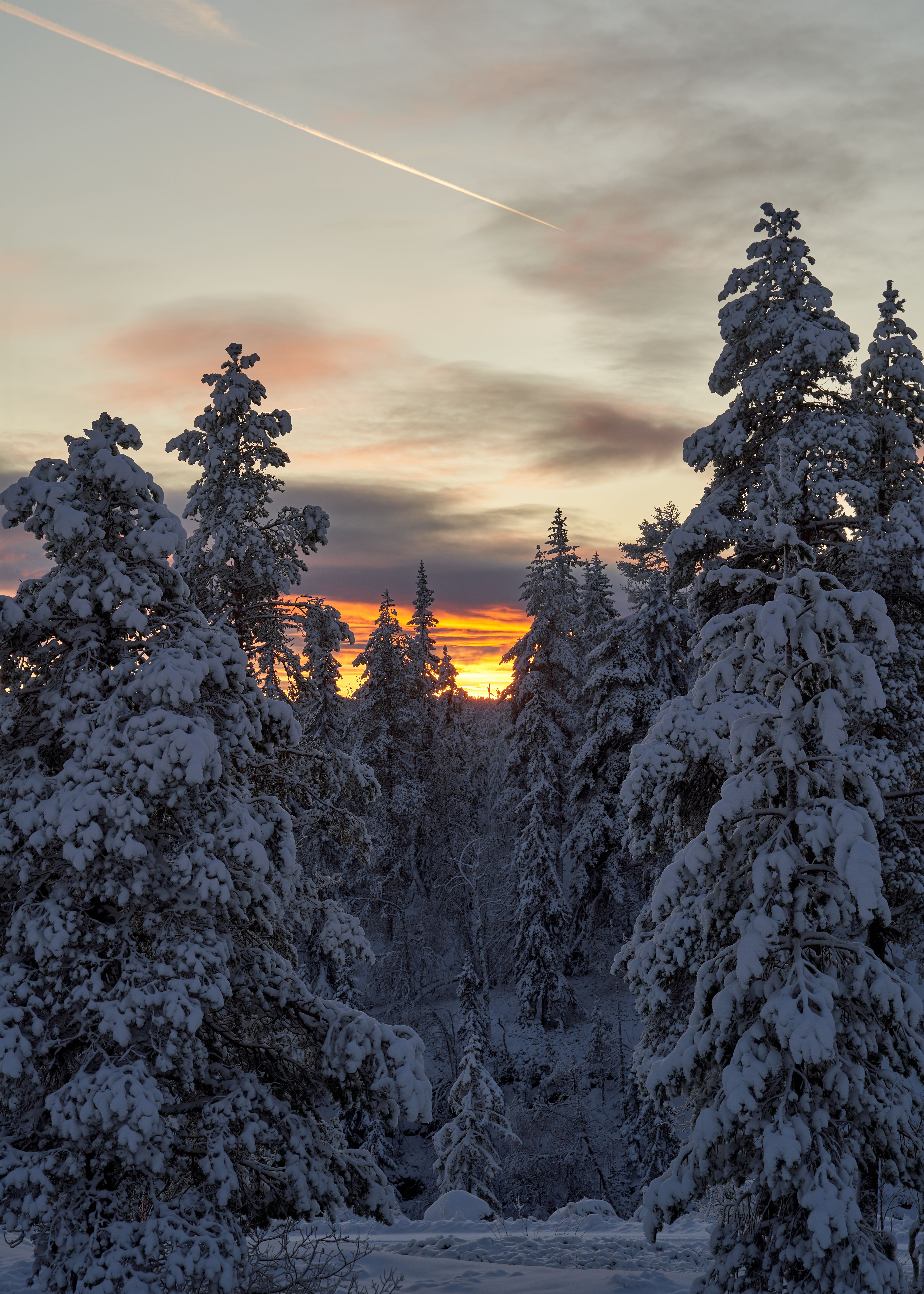 Tranquil Sunset Over Snowy Norwegian Forest · Free Stock Photo