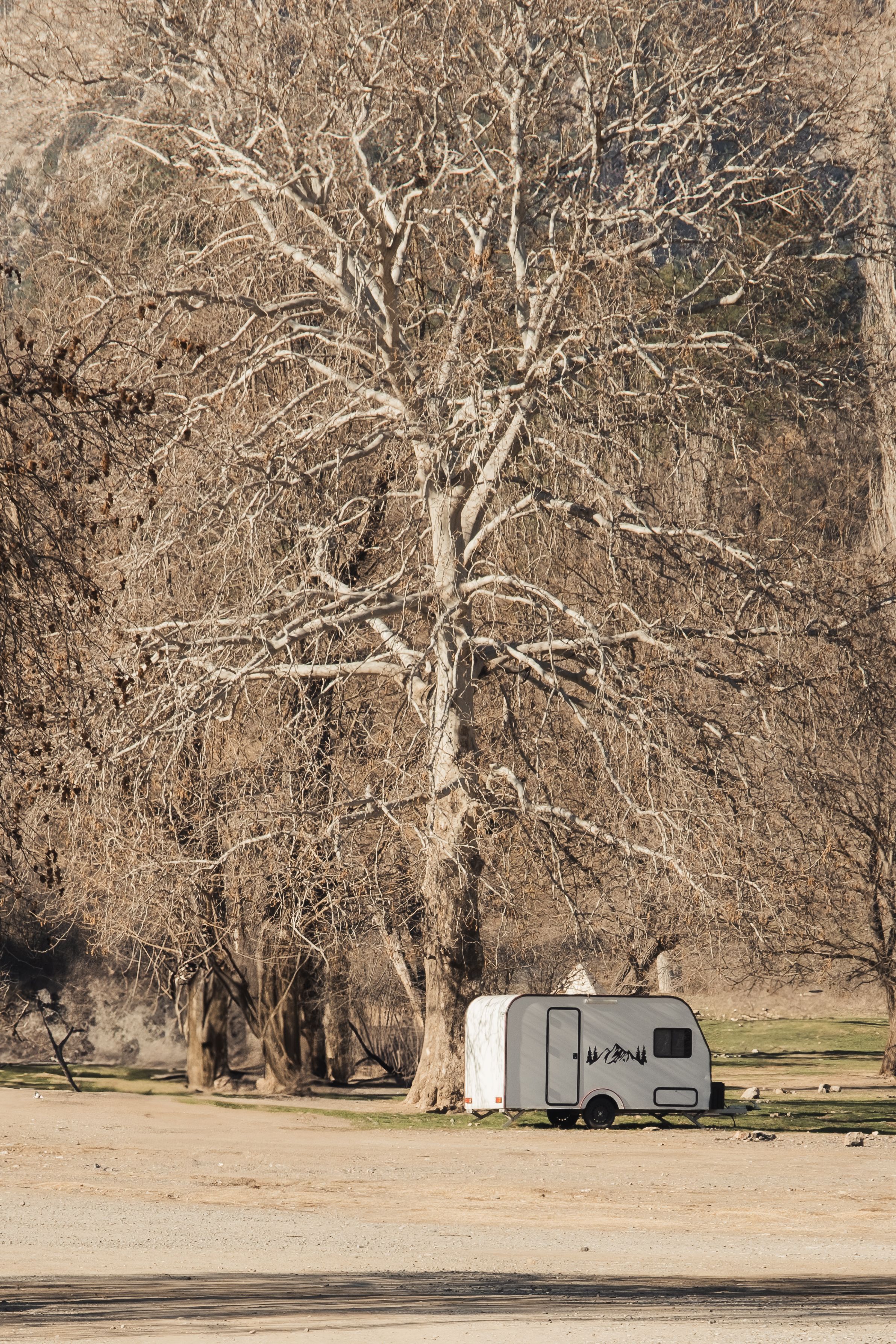 Caravan Parked Beside Leafless Tree in Belemedik · Free Stock Photo