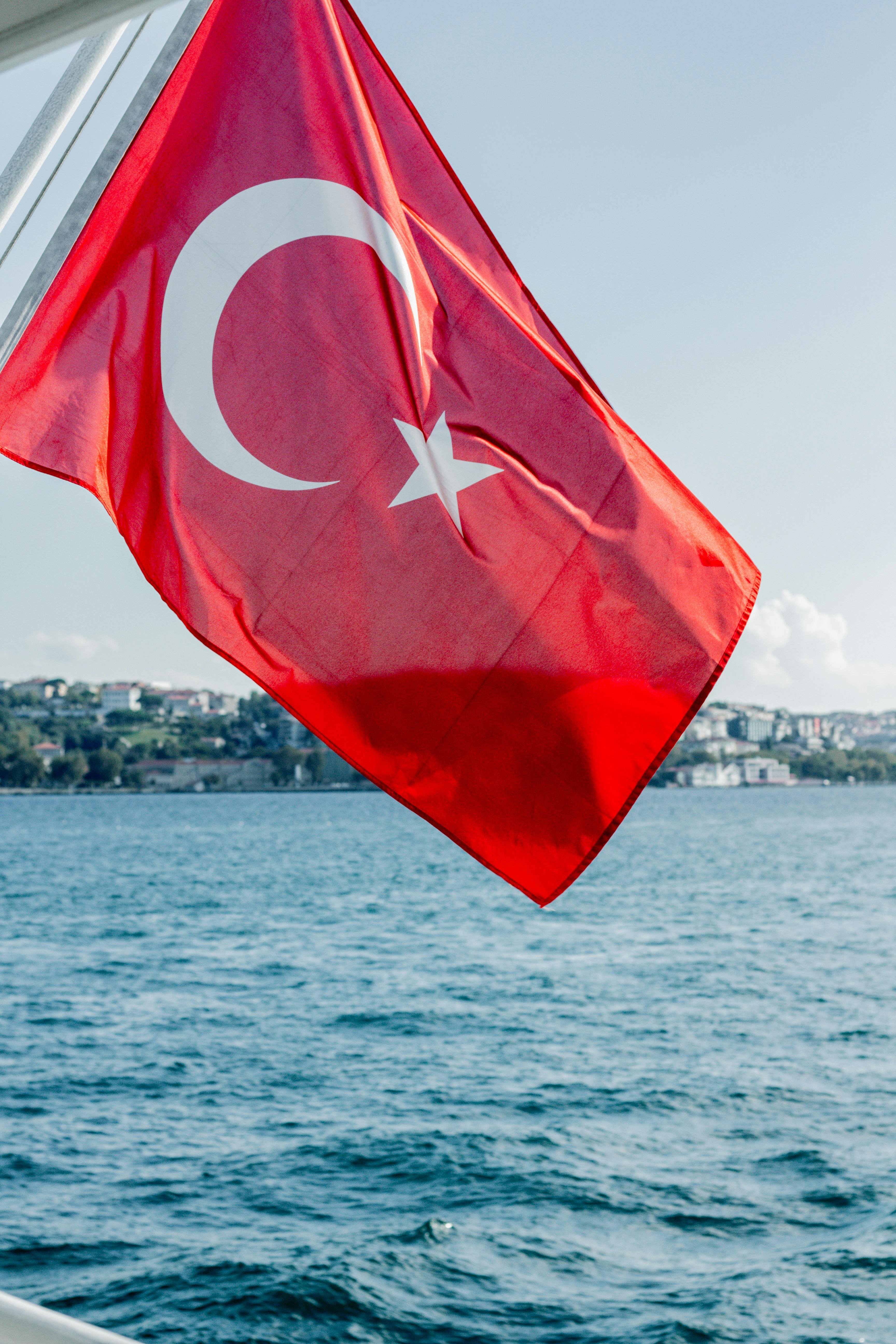 Bos Symbol Photos, Download The BEST Free Bos Symbol Stock Photos & HD ...