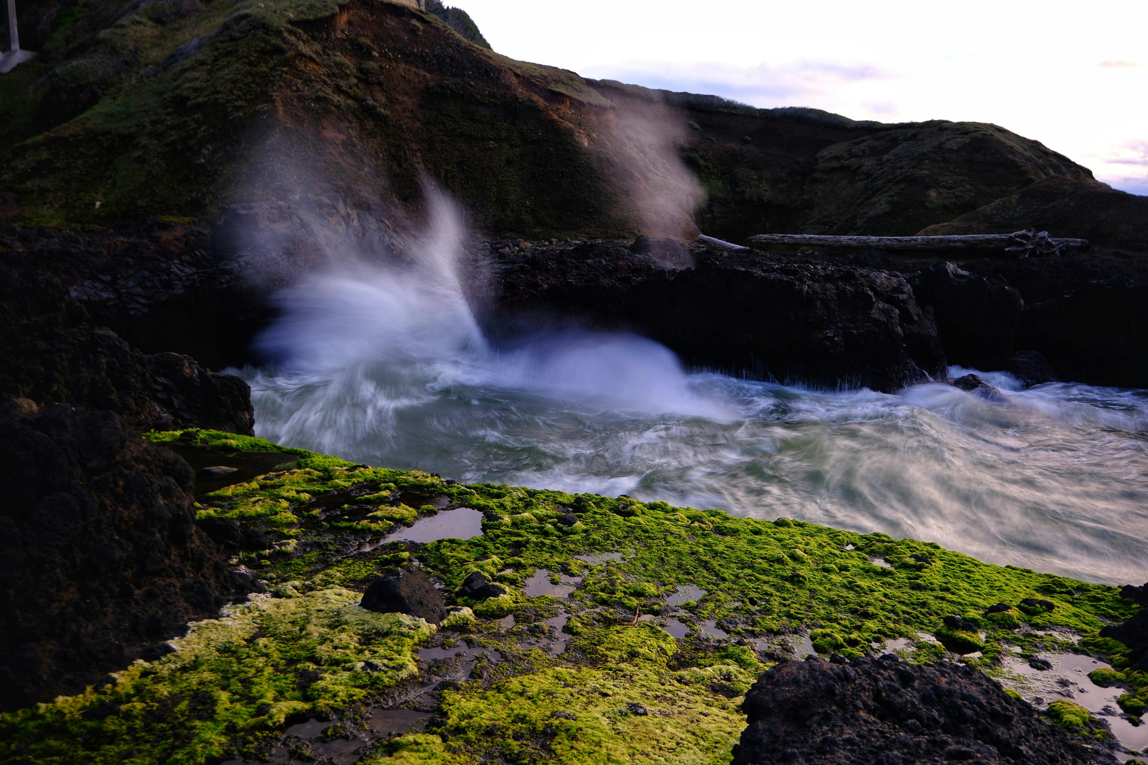 Olas Espectaculares En La Rocosa Costa De Oregón · Foto de stock gratuita