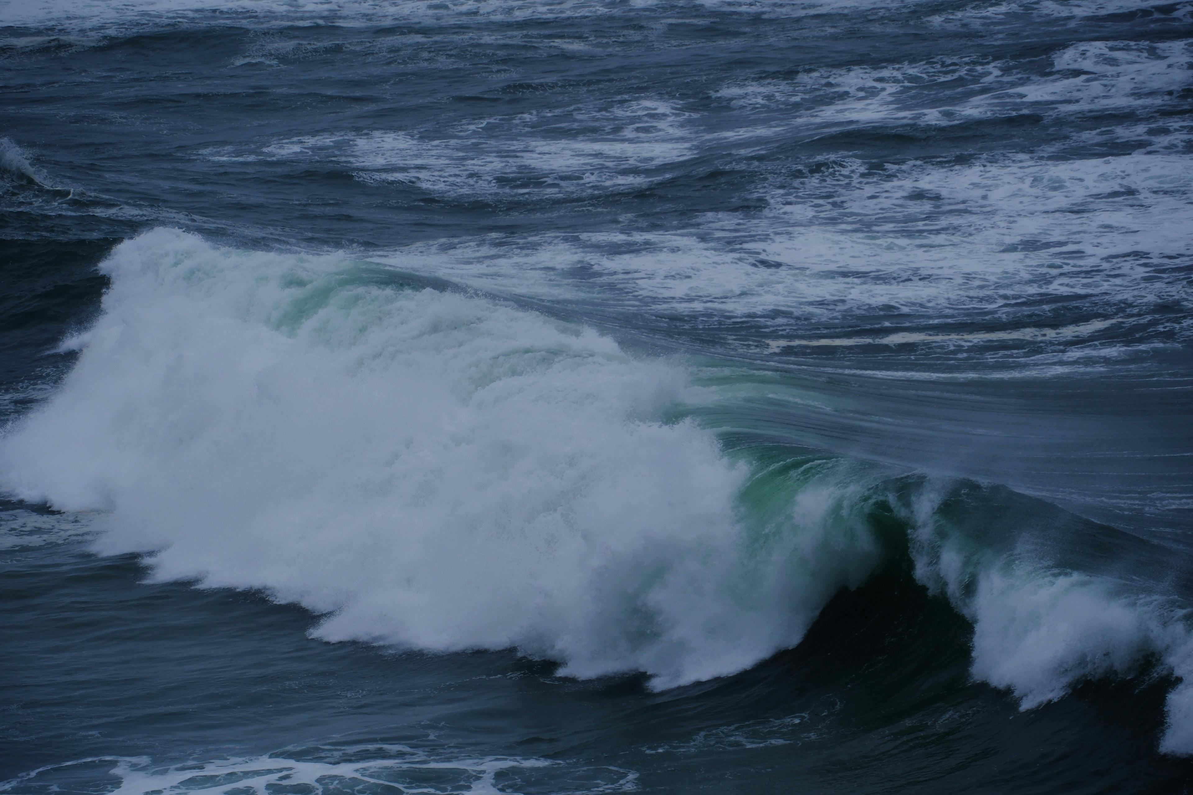 Tidal Wave Wall Painring · Free Stock Photo