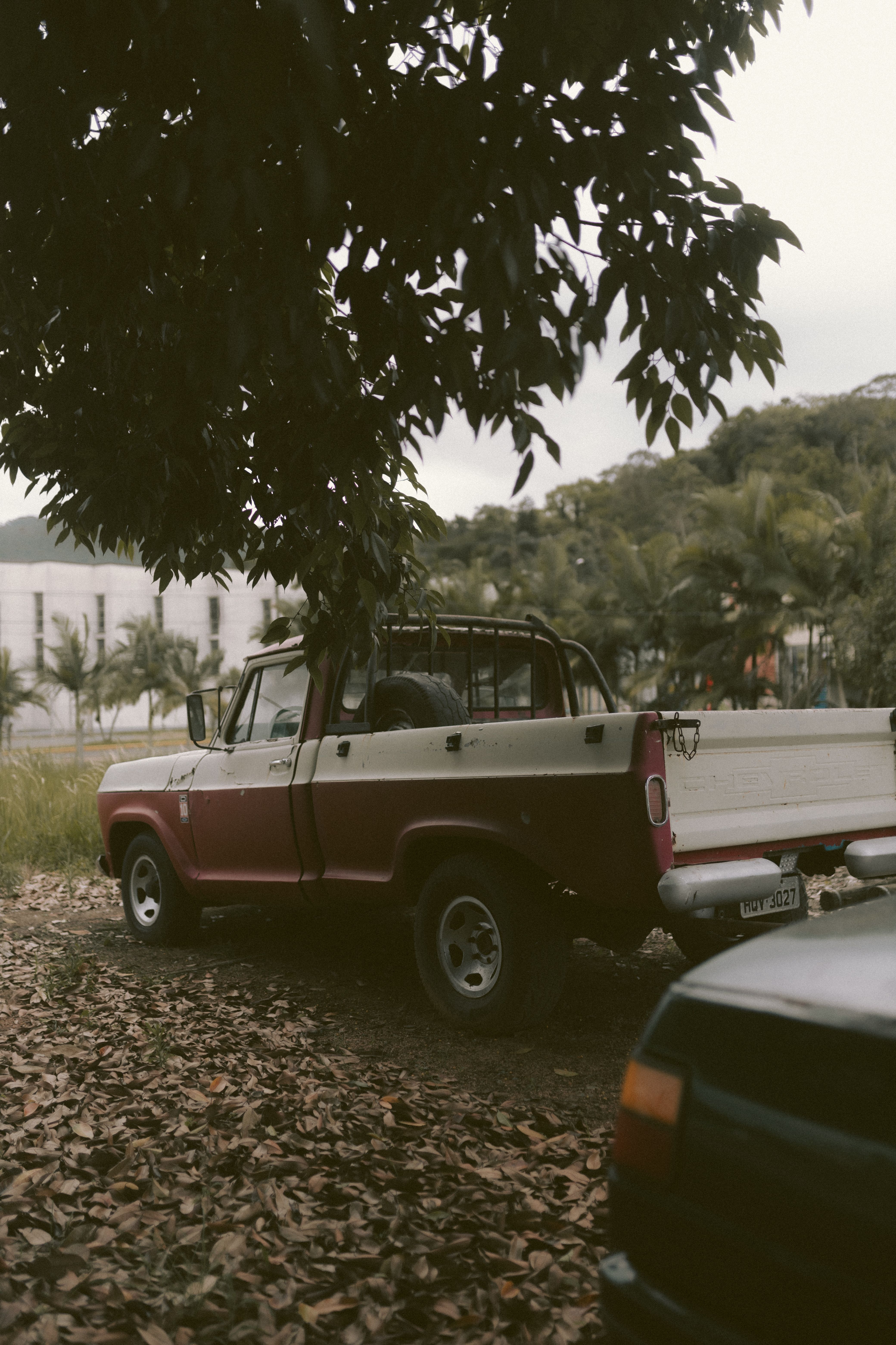 Vintage Truck Parked Under a Tree · Free Stock Photo